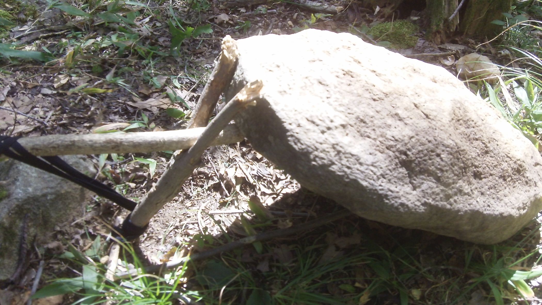 Paiute Deadfall Trap : 6 Steps - Instructables