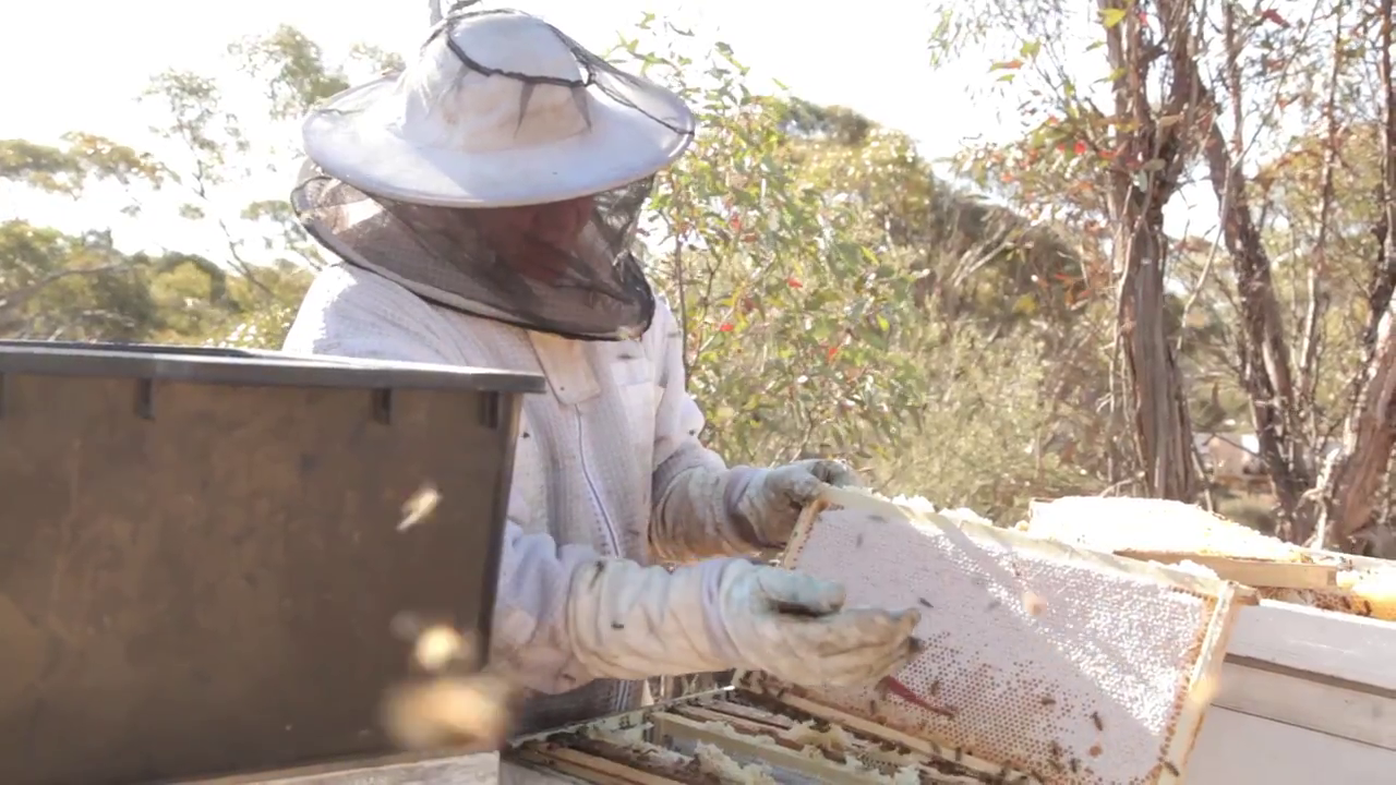 How to Collect Honey From Beehives : 5 Steps (with Pictures ...