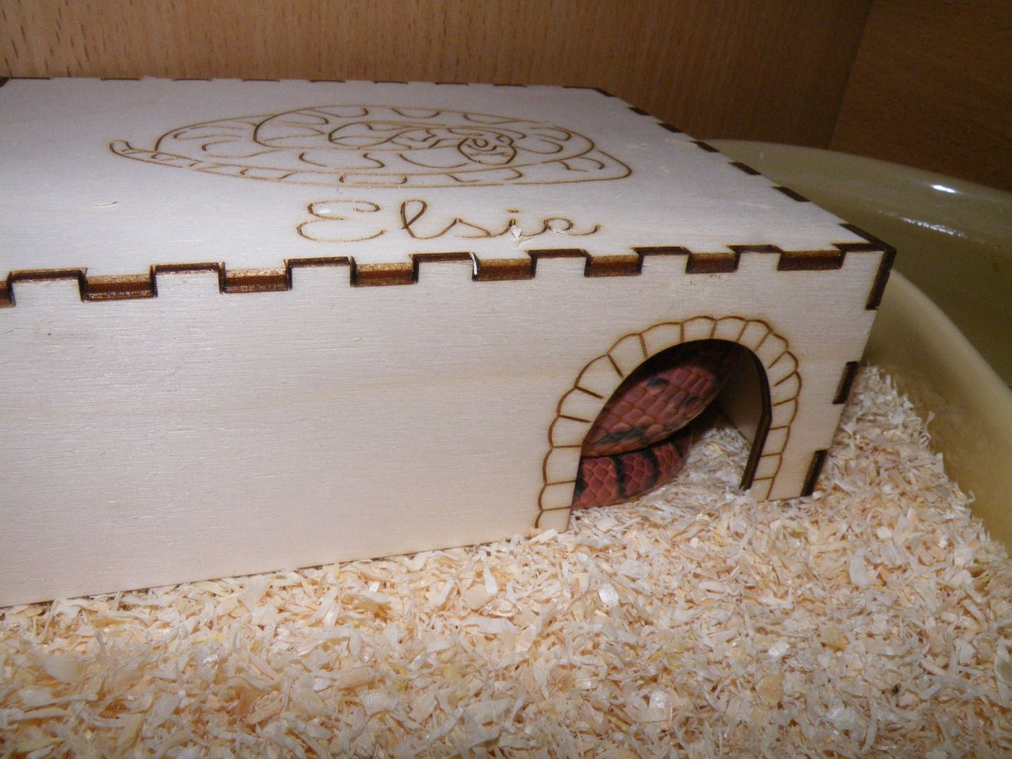 Simple Snake Home : 5 Steps (with Pictures) - Instructables