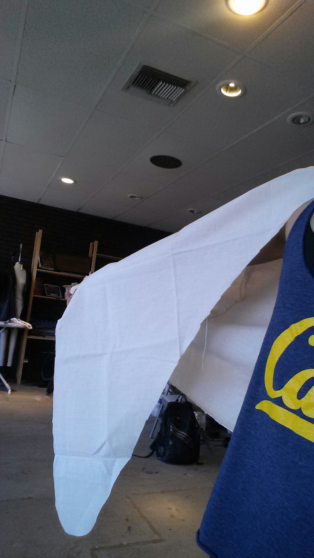 Cloak of Wings : 8 Steps (with Pictures) - Instructables