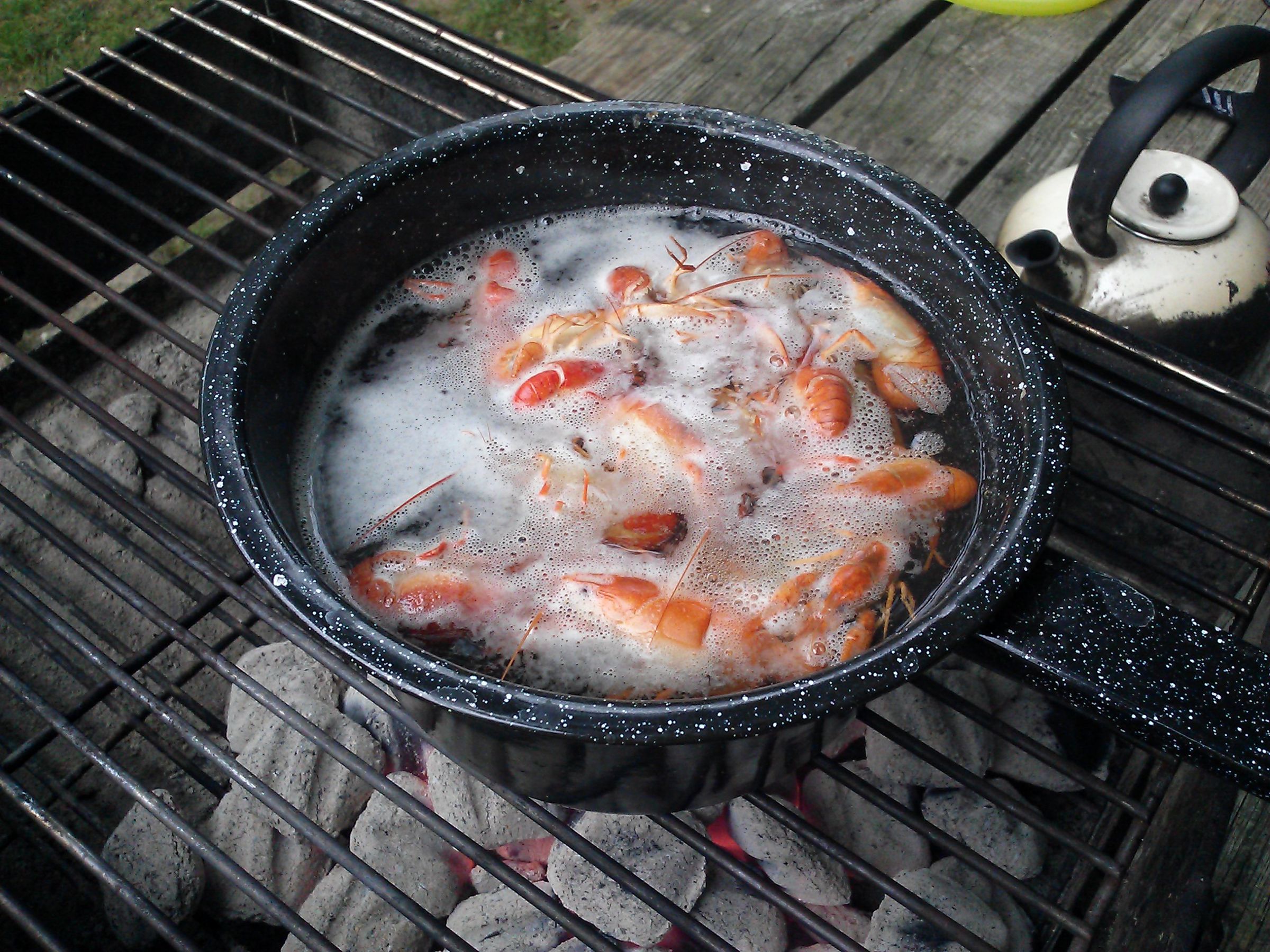 Boiling Fresh Crayfish - a Timeless Tradition : 4 Steps (with Pictures ...