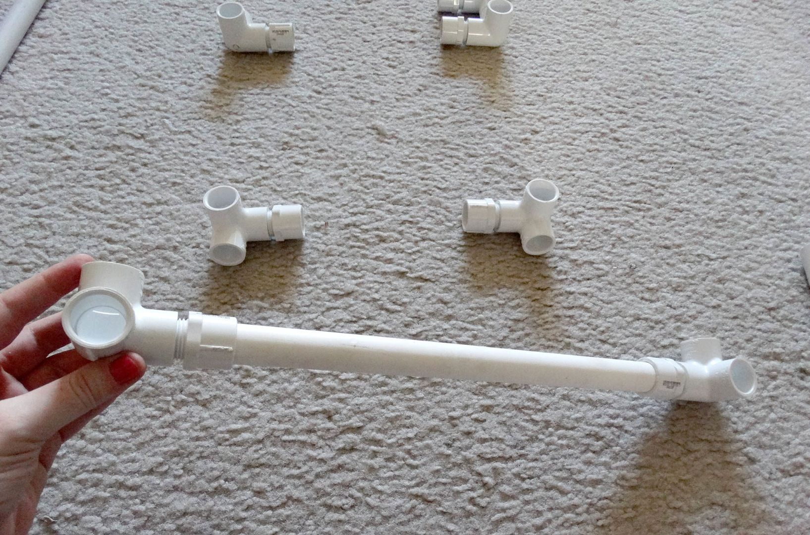 Raising Giant Silk Moths : 15 Steps (with Pictures) - Instructables