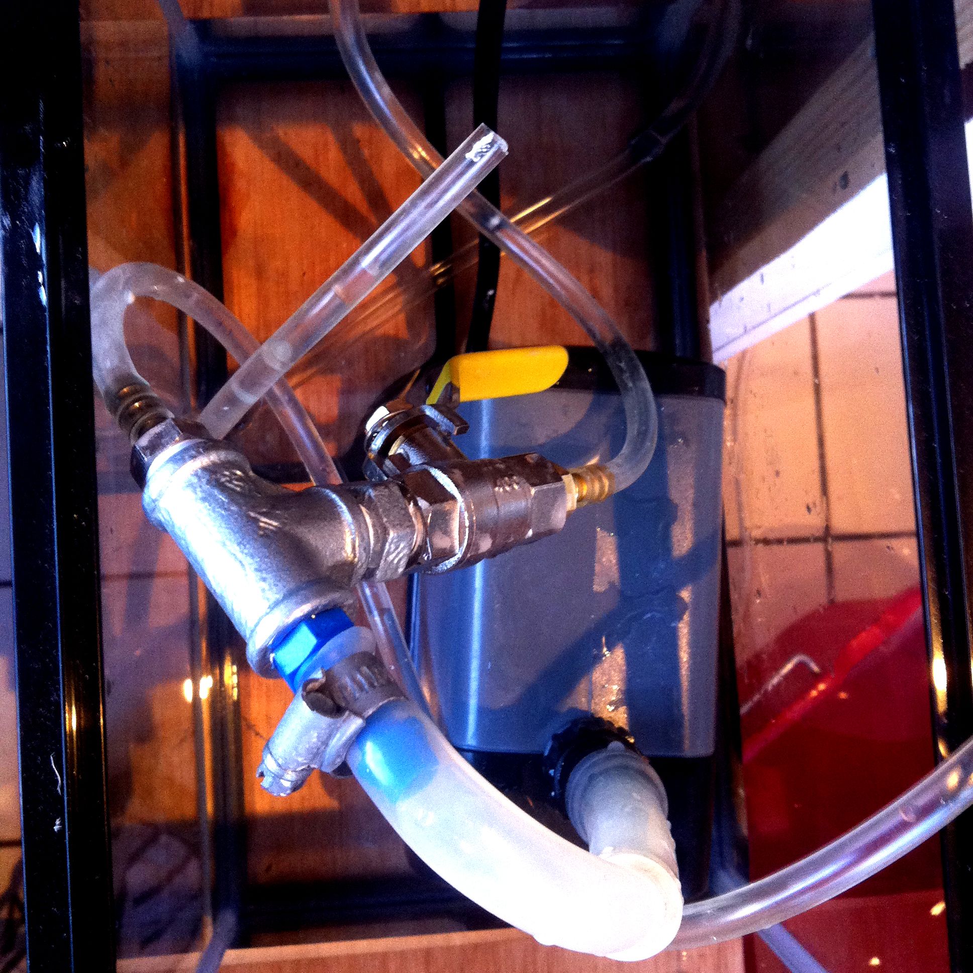 The Algae Experiment: How to Build Your Own Algae Photo-bioreactor ...