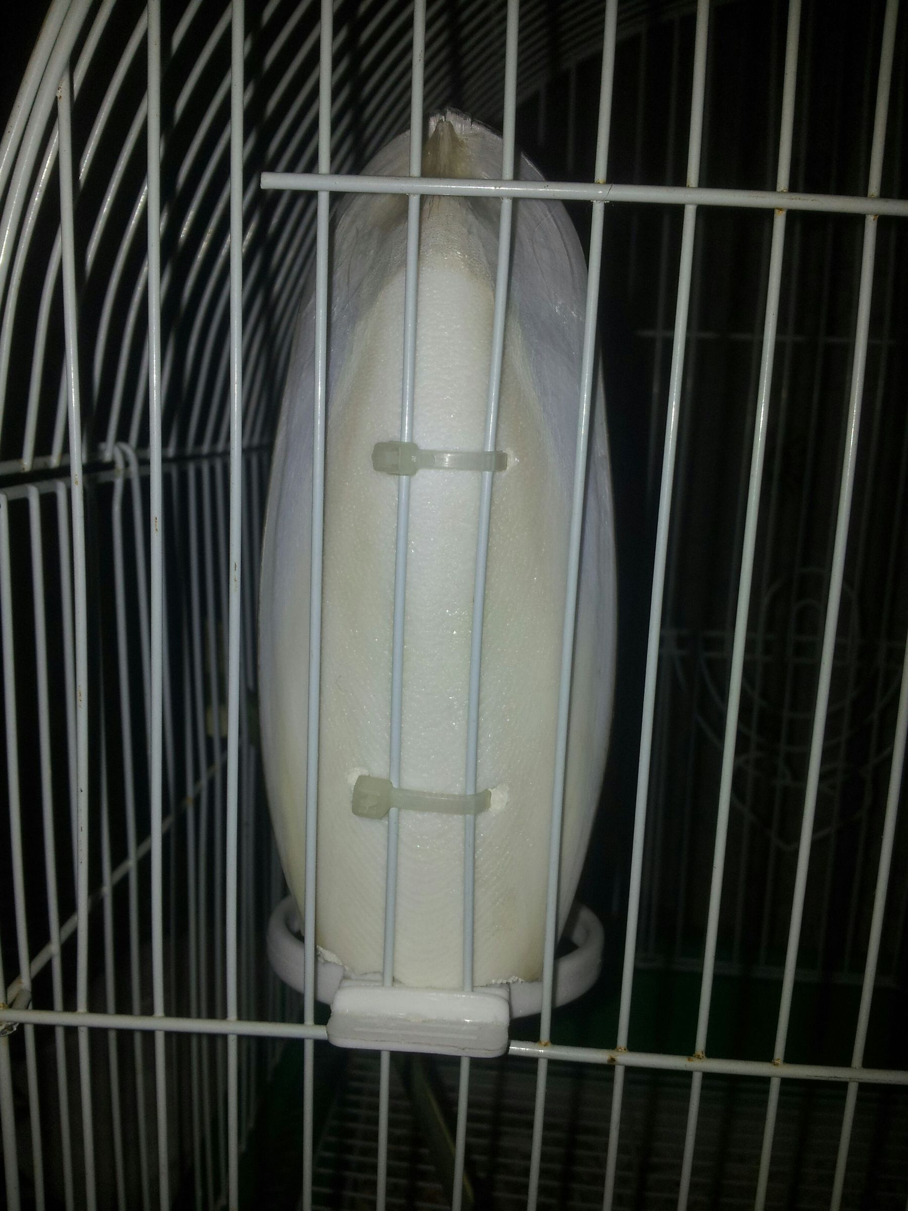 Zip Tie Cuttlebone Holder for Birds : 6 Steps - Instructables