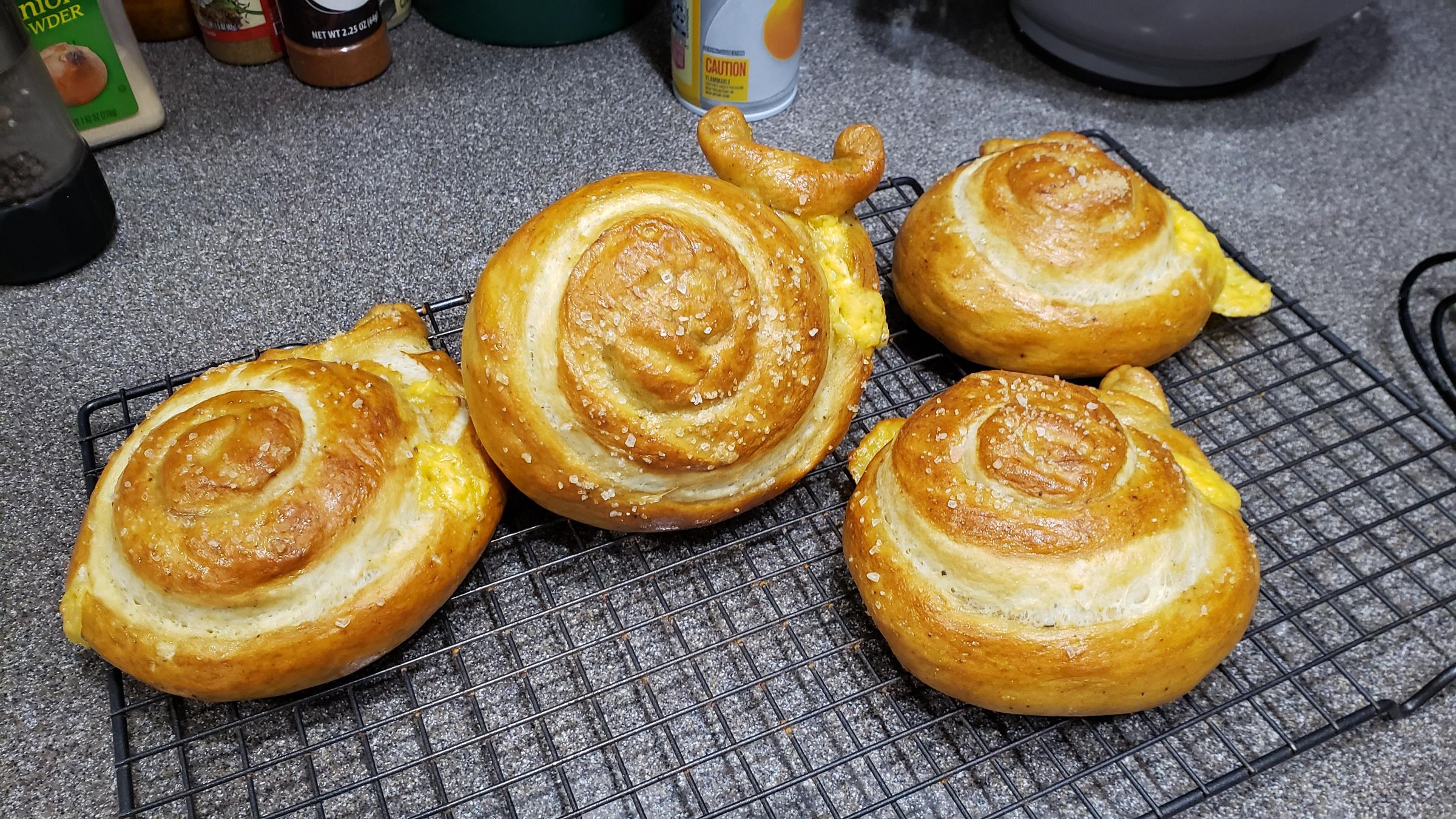 Smoked Cheese Snetzels(Snail Pretzels) : 11 Steps (with Pictures ...