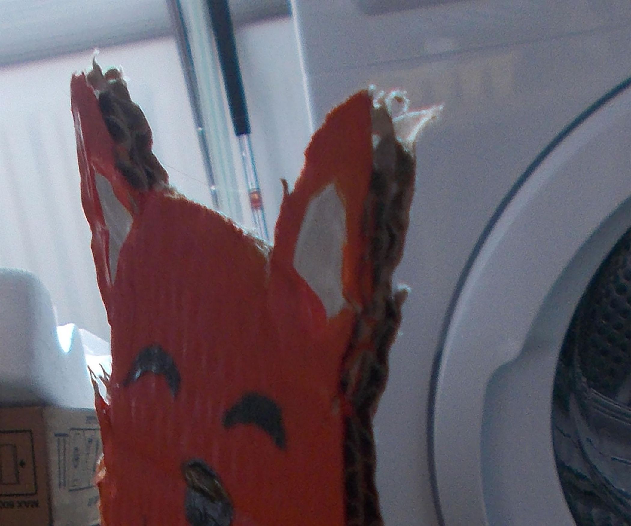 Lesson 4: Cardboard Animal Fox : 5 Steps - Instructables