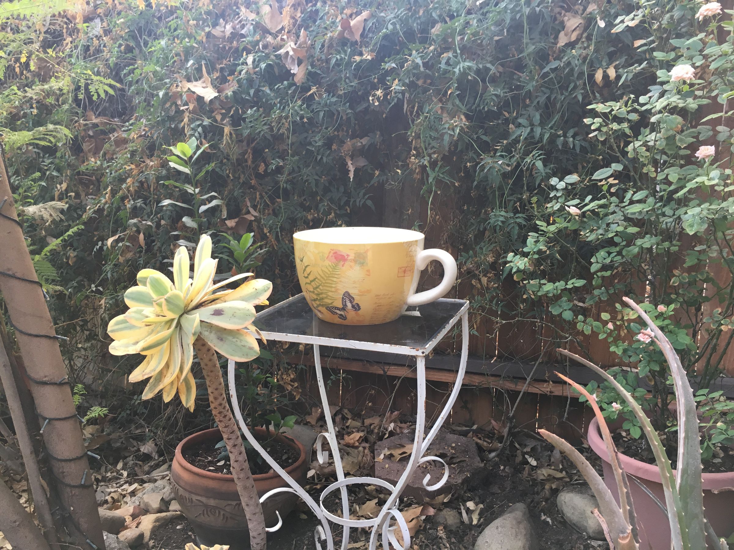 English Breakfast Tea Floating Fountain : 8 Steps (with Pictures ...