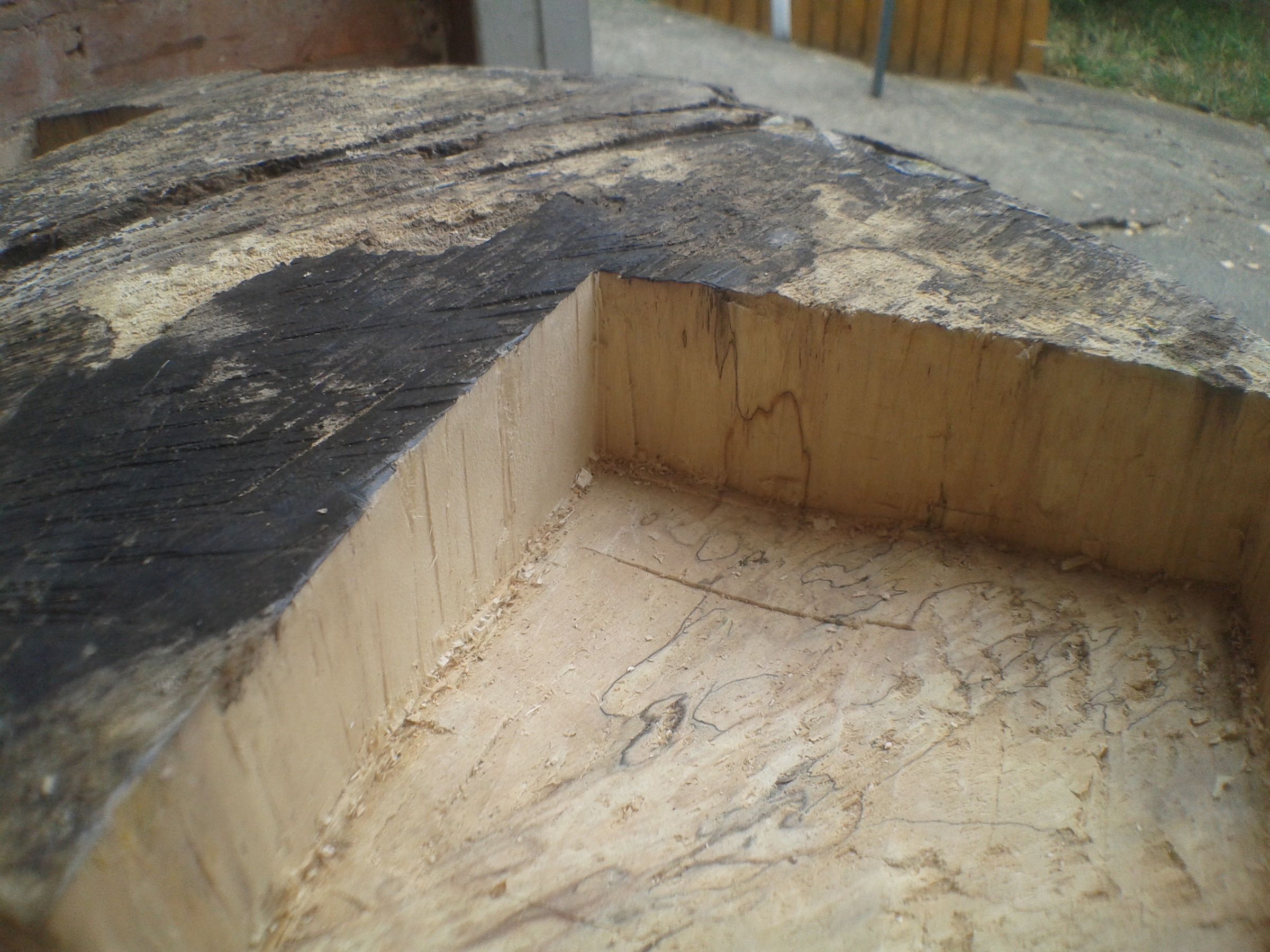 Log Bird Bath : 5 Steps (with Pictures) - Instructables