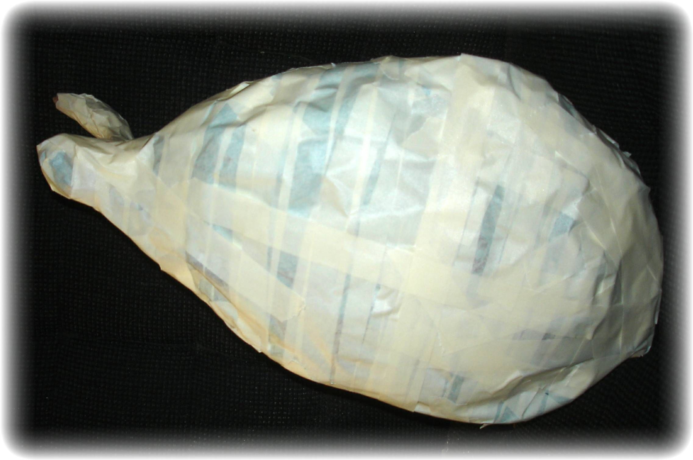 Recycle Plastic Grocery Bags, Wire Hangers and Newspaper Into Loons ...