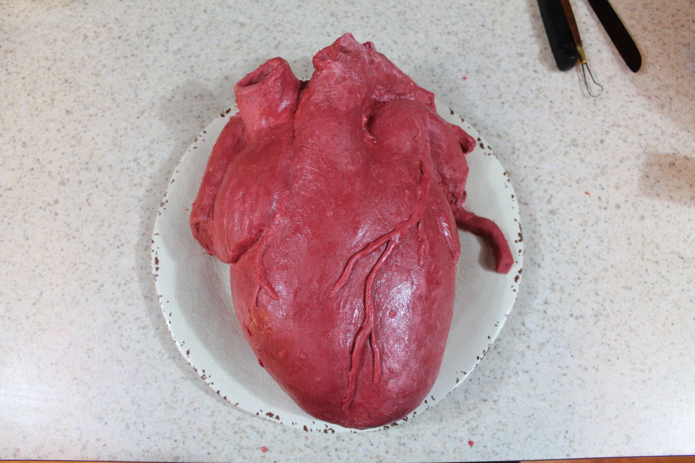 DIY Human Heart Cake : 7 Steps (with Pictures) - Instructables