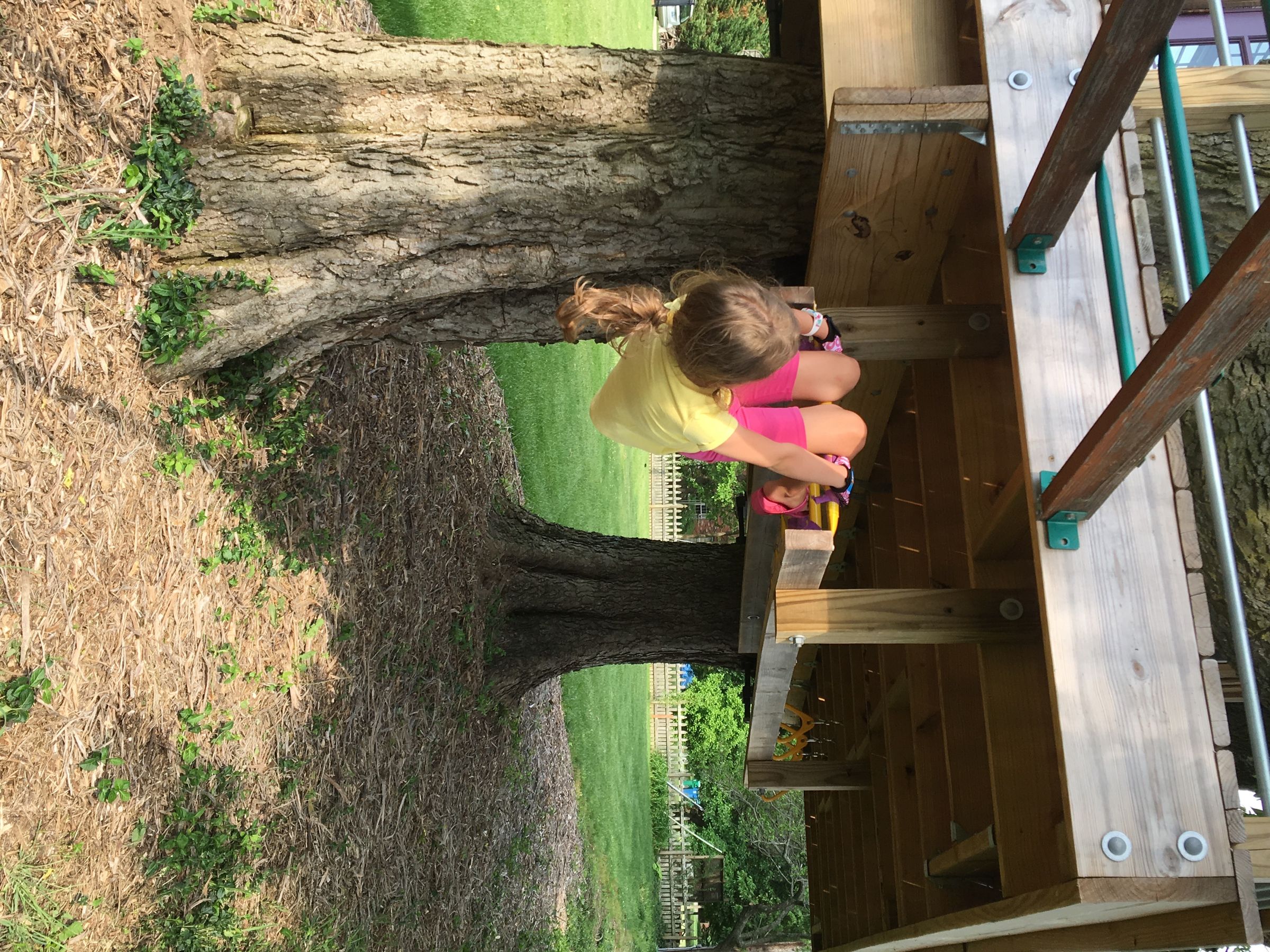 Adjustable Monkey Bars : 6 Steps (with Pictures) - Instructables