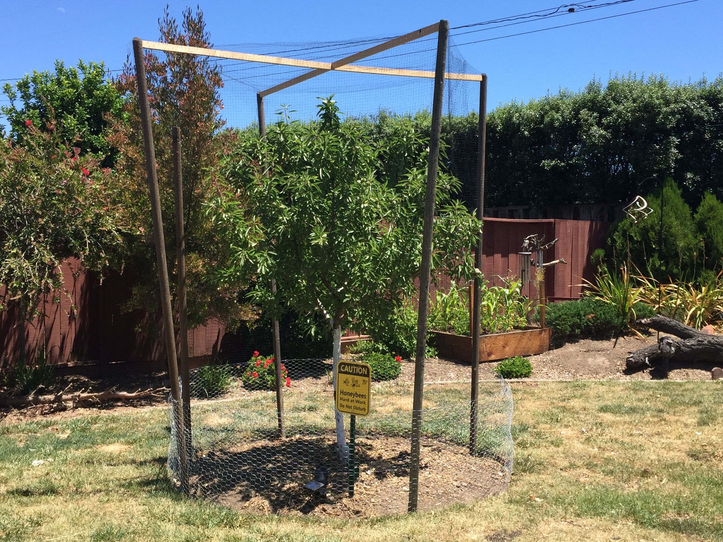 Fruit Tree Cage : 8 Steps (with Pictures) - Instructables