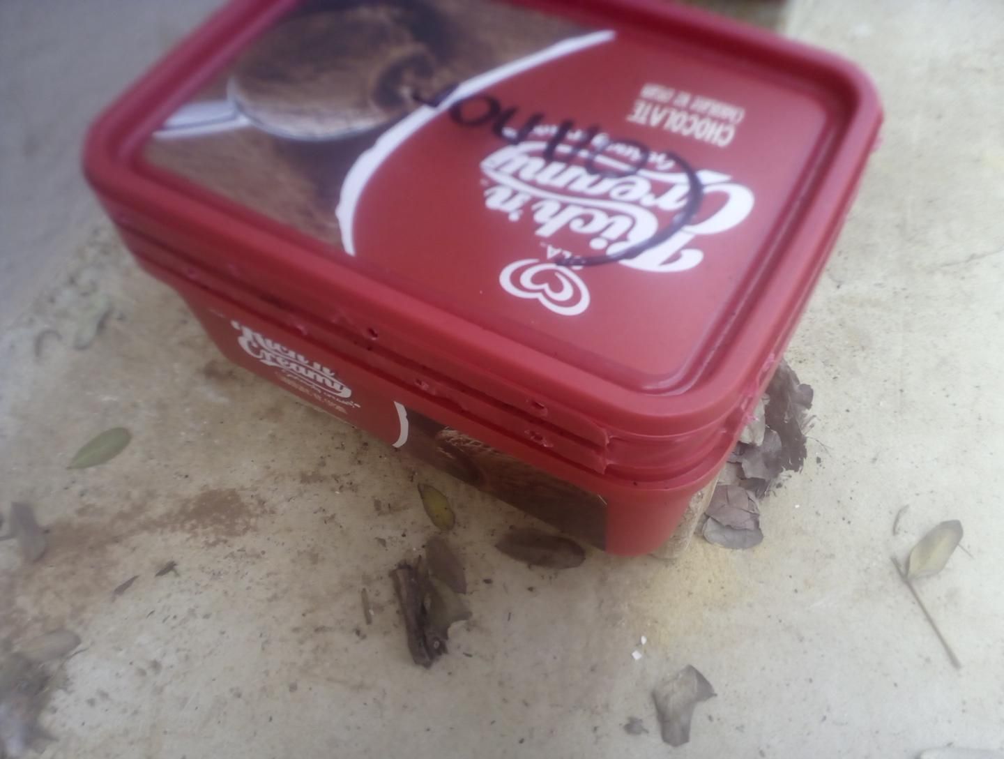 Mini Wormery (easy) : 6 Steps - Instructables