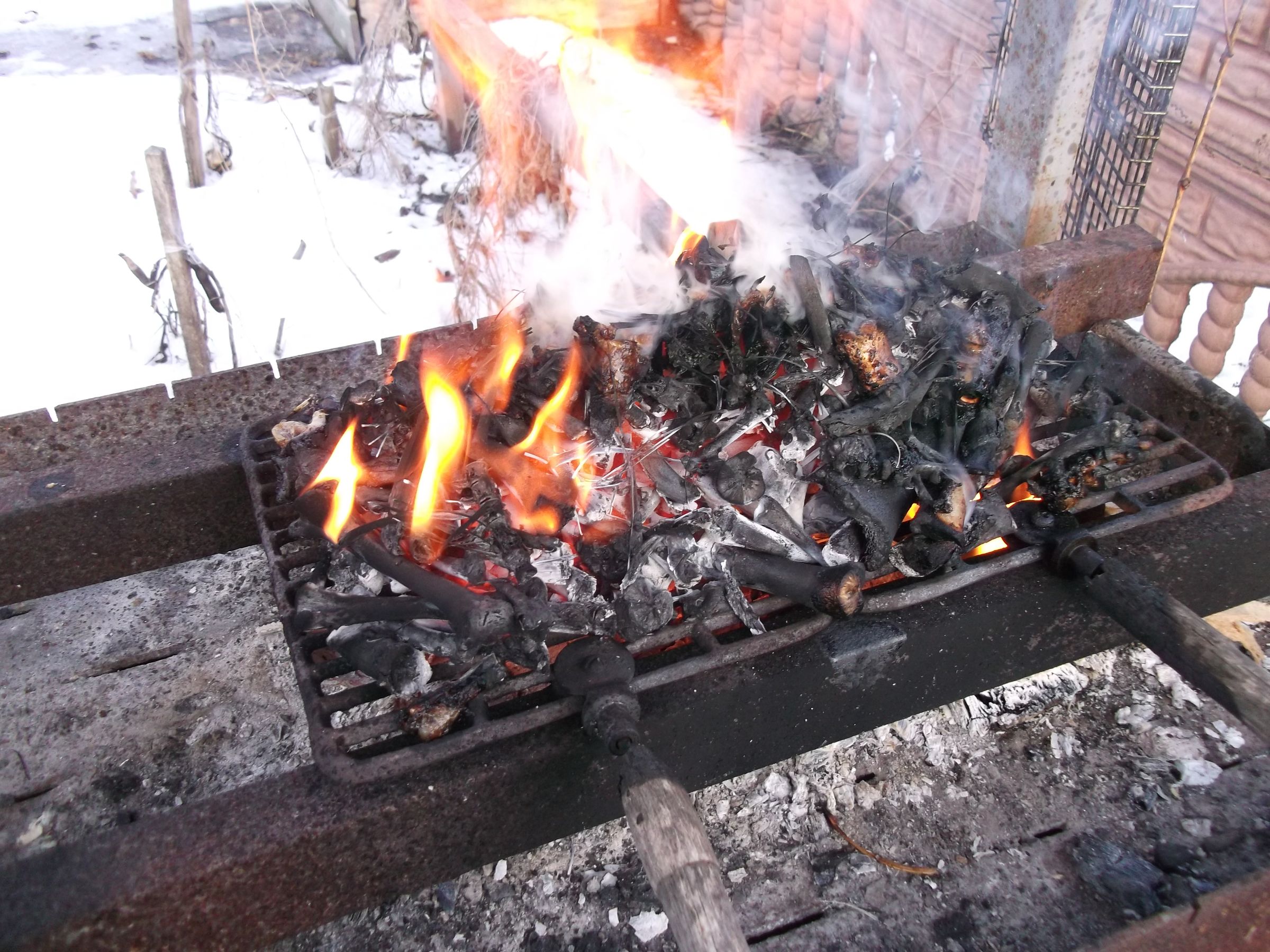 Animal Bones As Fuel and Fertilizer : 6 Steps (with Pictures ...