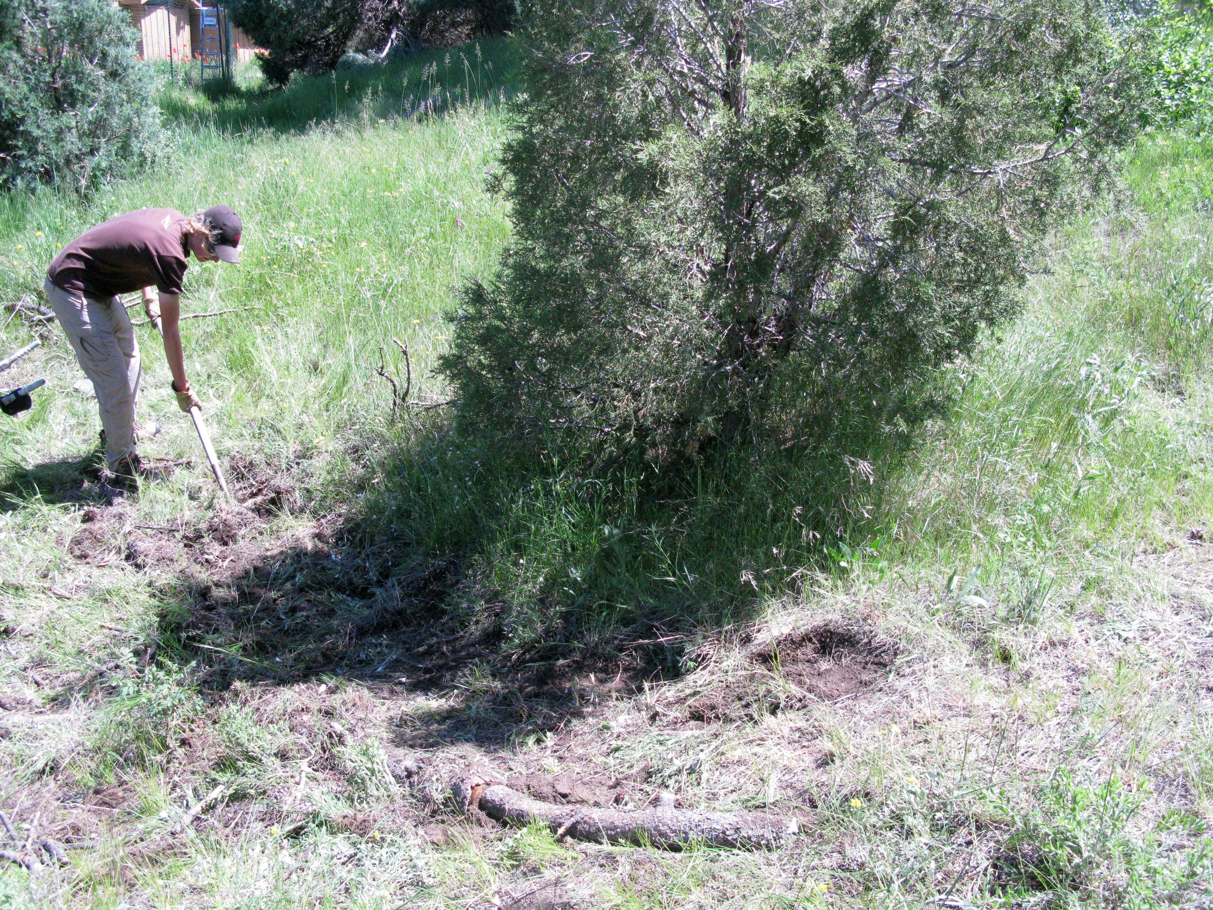 Bulid a Mountain Bike Trail : 7 Steps - Instructables