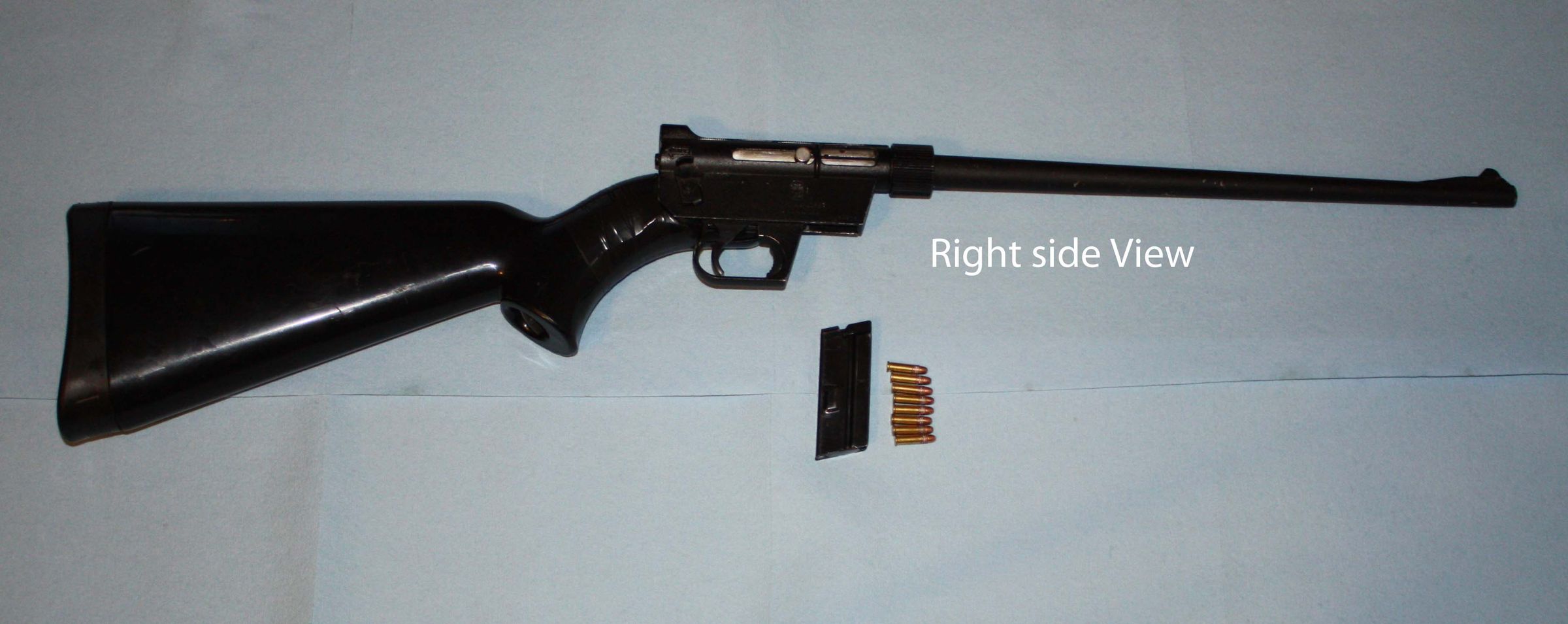 The Care and Feeding of the Armalite AR-7 : 6 Steps - Instructables