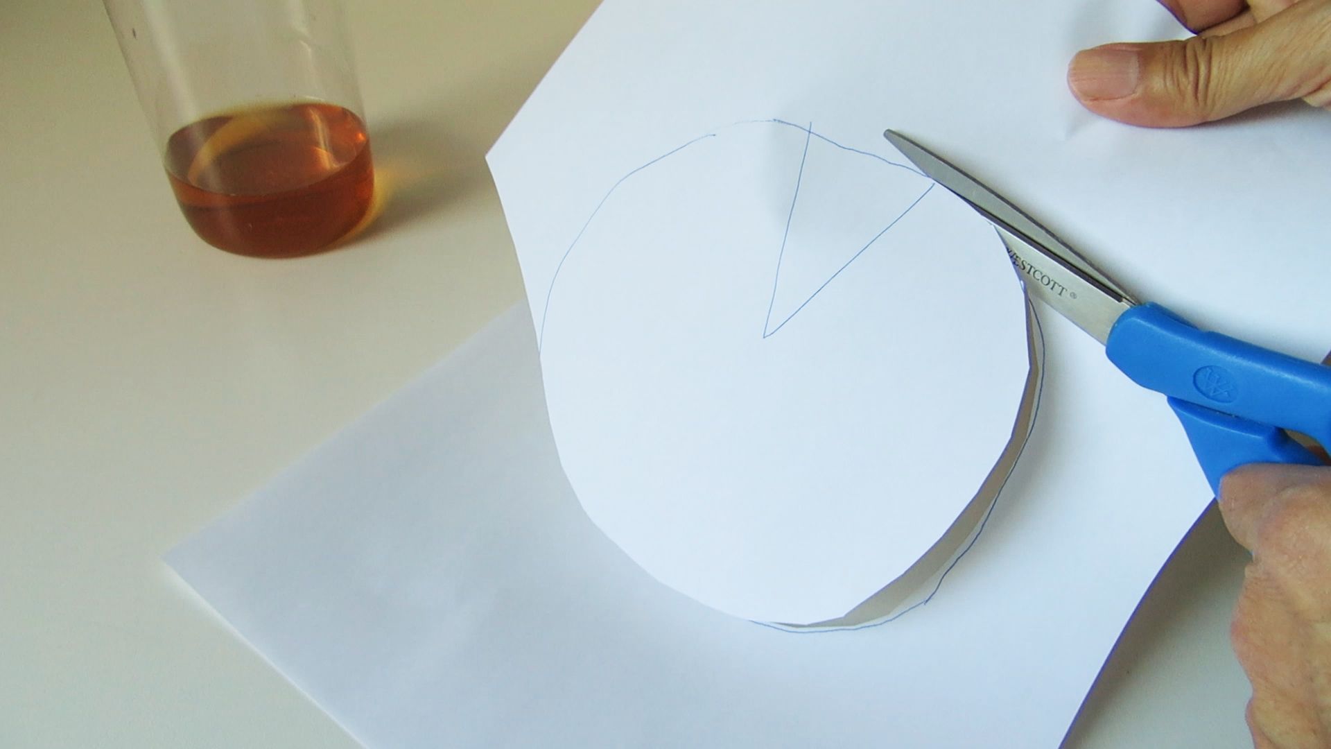 How to Get Rid of Fruit Flies in Your Home : 6 Steps (with Pictures ...