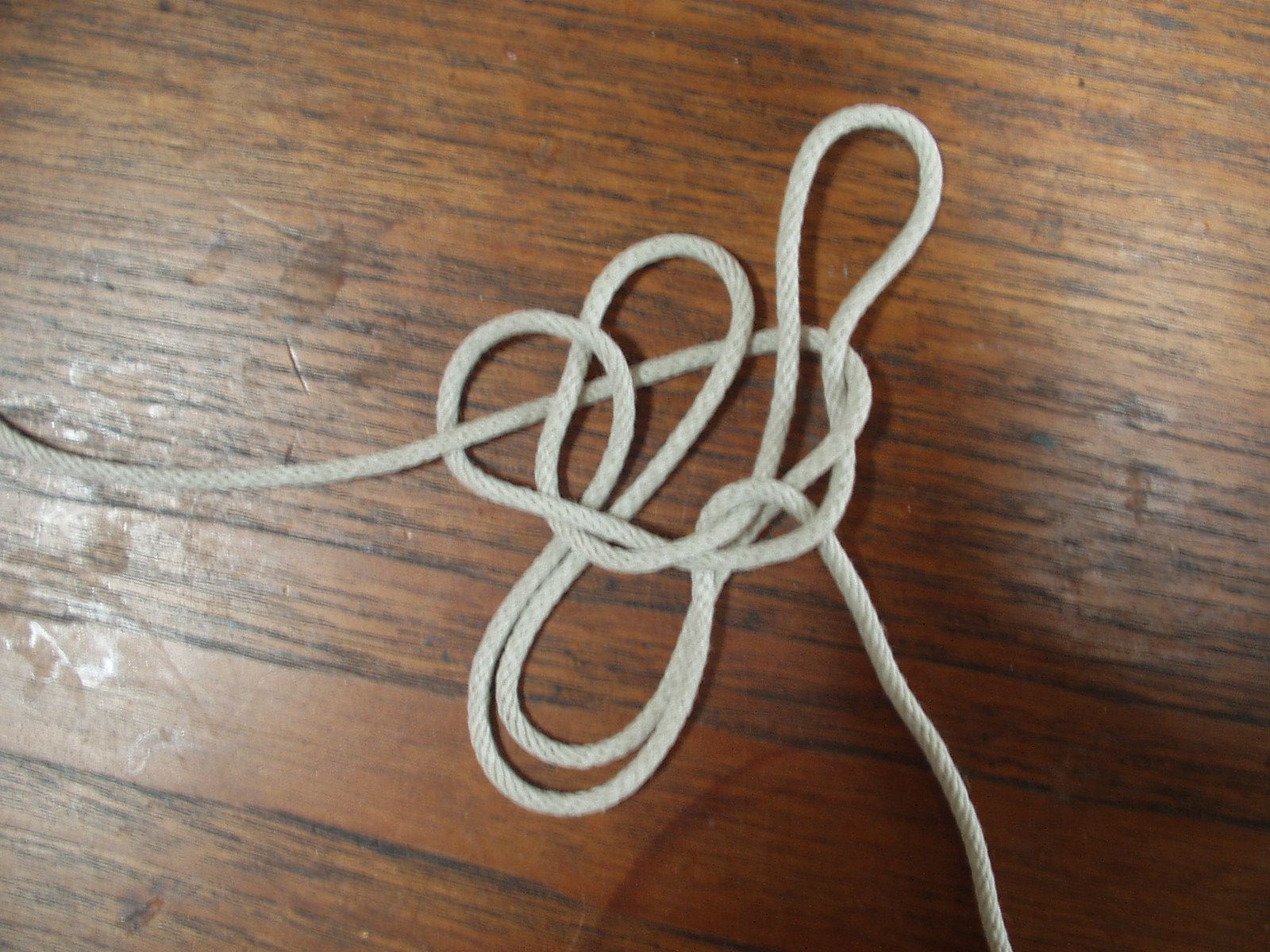 Fiador Knot Lanyard : 11 Steps - Instructables