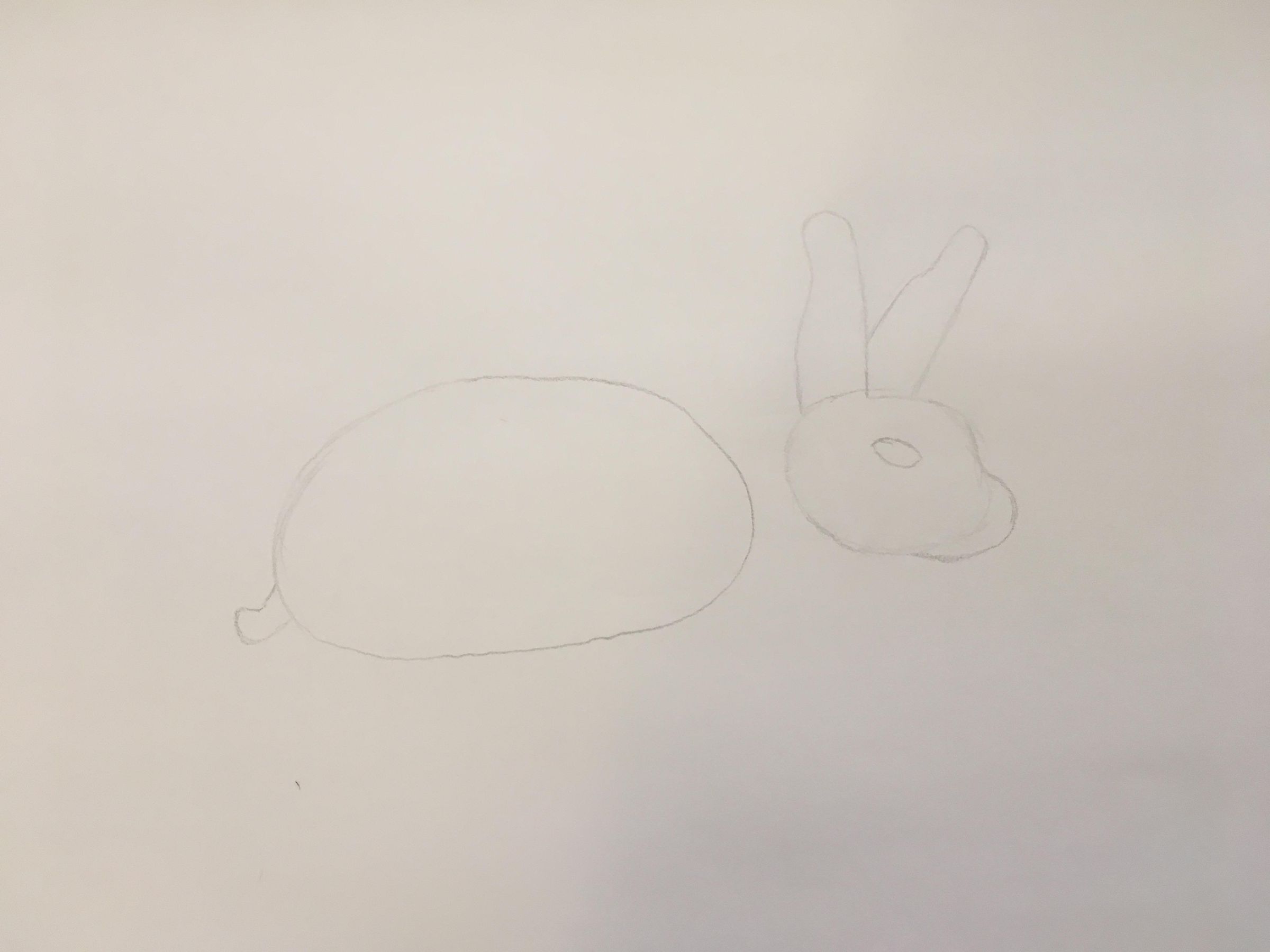How to Draw a Realistic Bunny (standing) : 26 Steps - Instructables