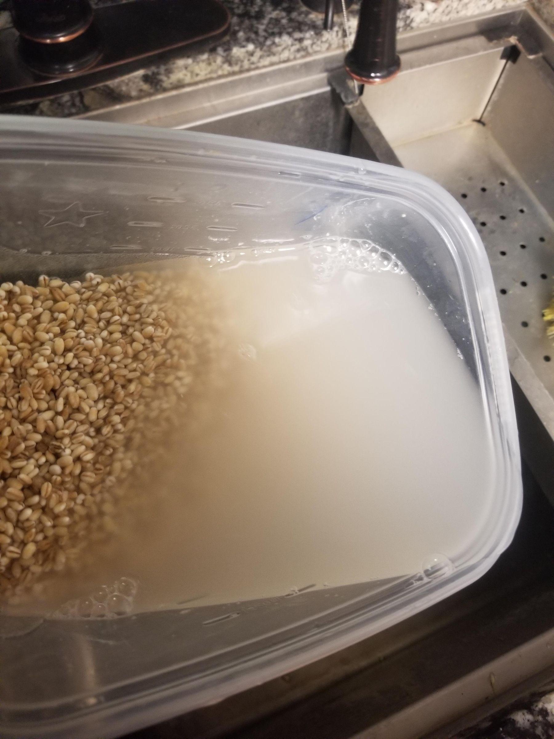 Making Koji - a Foundation of Fermentation : 5 Steps (with Pictures ...