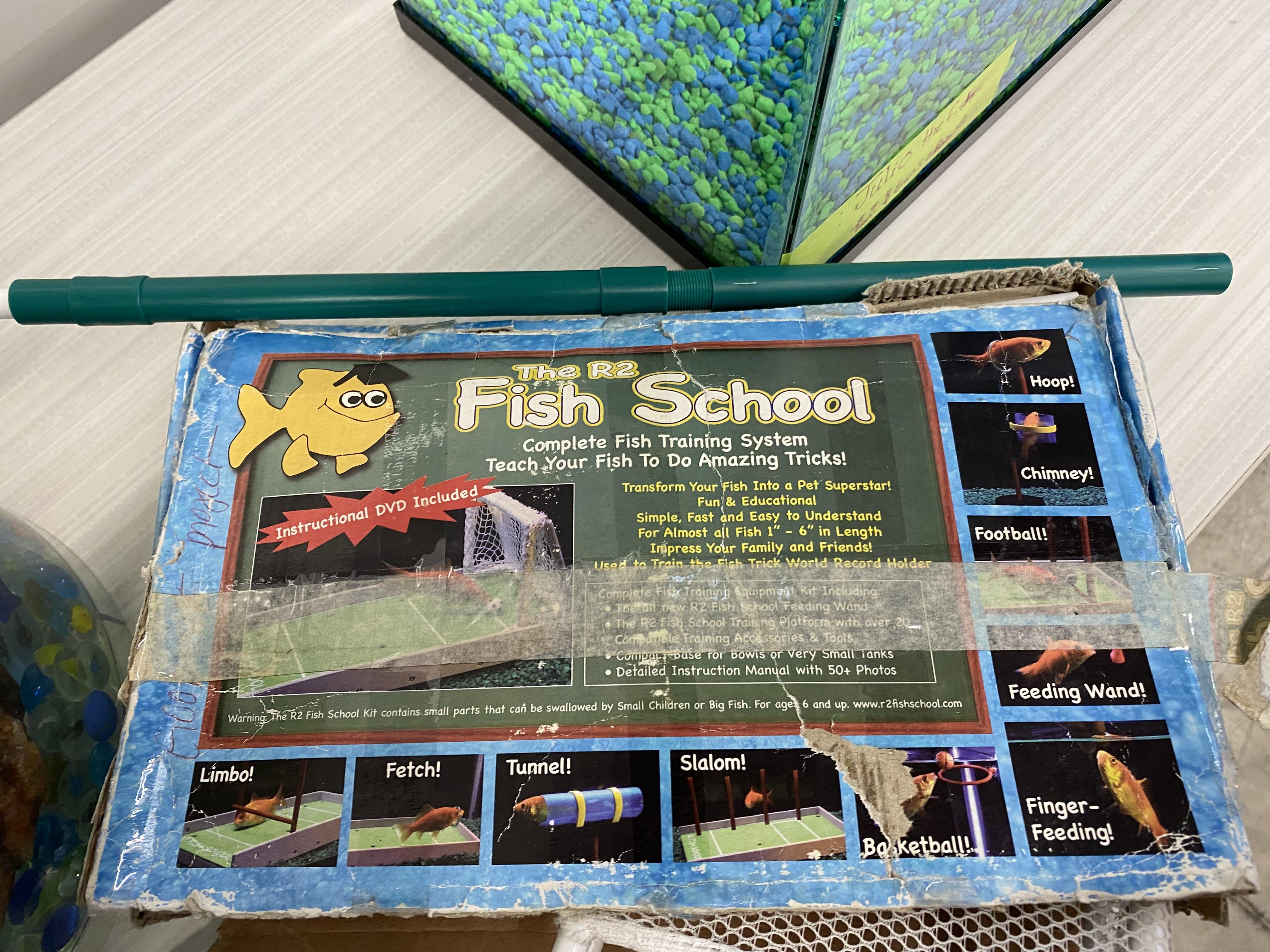 Training a Fish : 4 Steps - Instructables