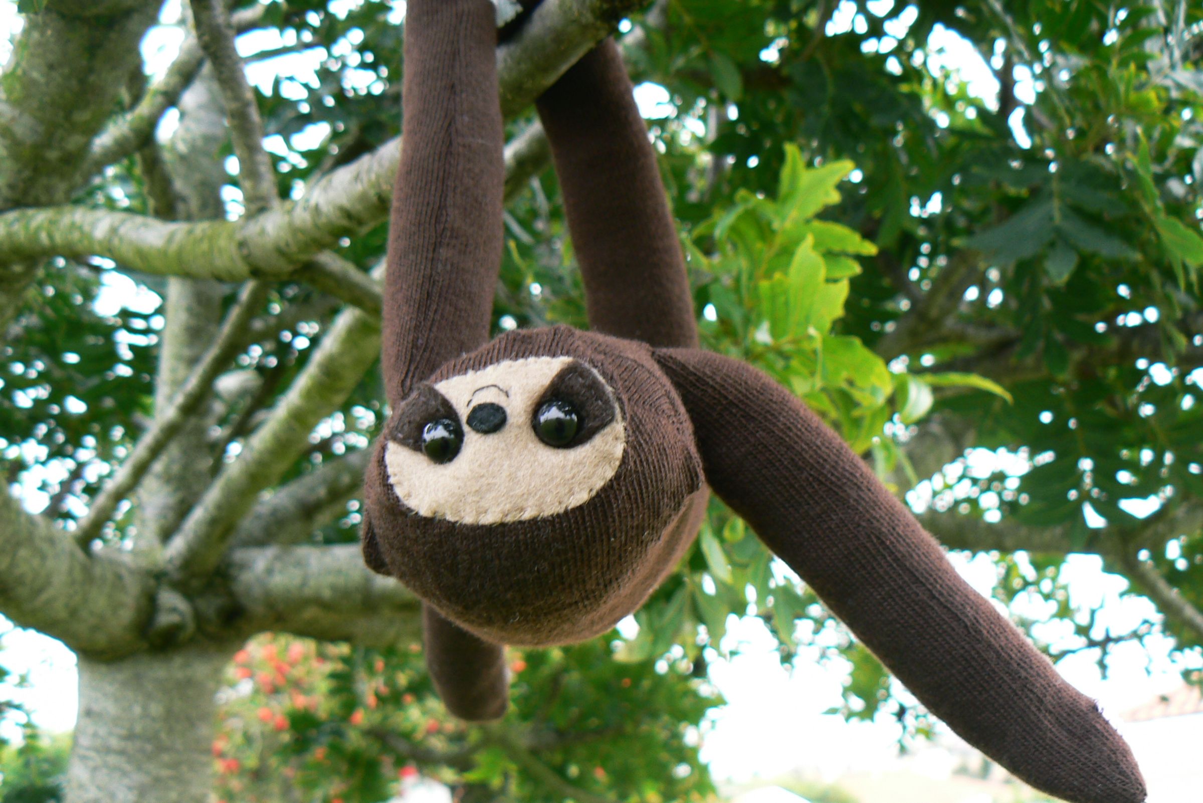 Sock Sloth : 13 Steps (with Pictures) - Instructables