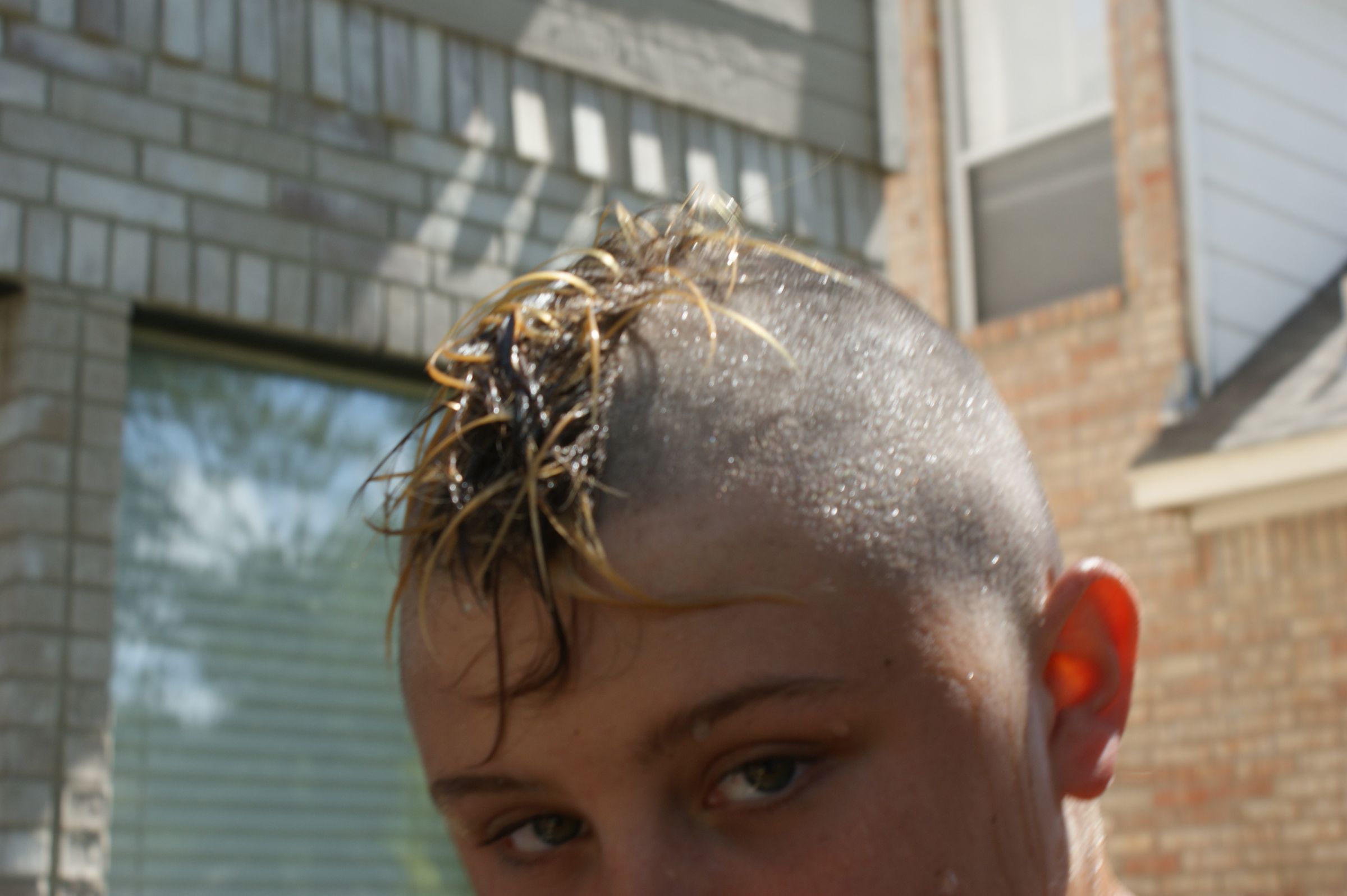 How to Cut a MOHAWK Hairdoo... and How to Dye That Bad Boy! : 20 Steps ...