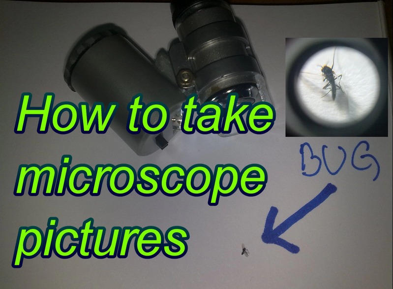 How to Take Amazing Microscope Pictures - Instructables