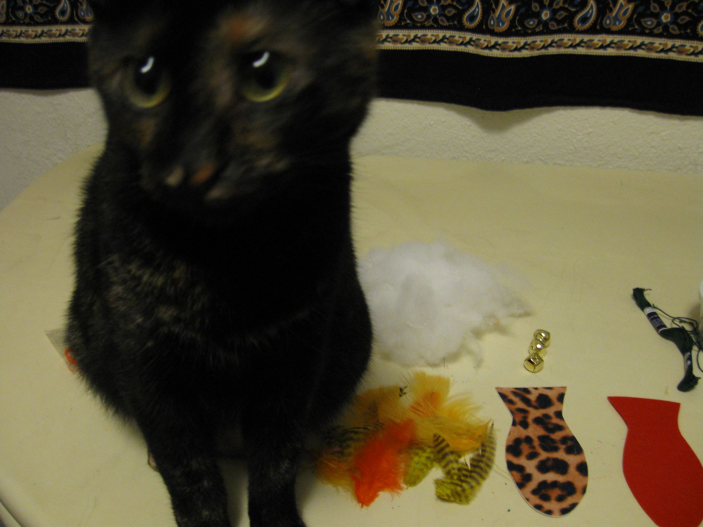 Custom-Made Catnip Cat Toy : 6 Steps - Instructables