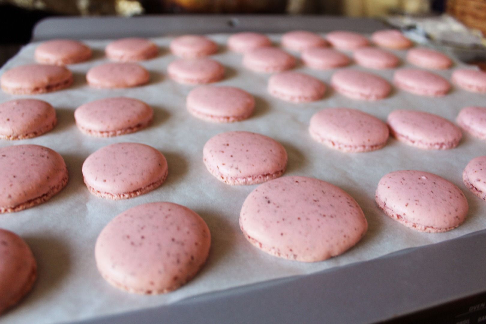 Passable (Beginner's) Macarons : 12 Steps (with Pictures) - Instructables