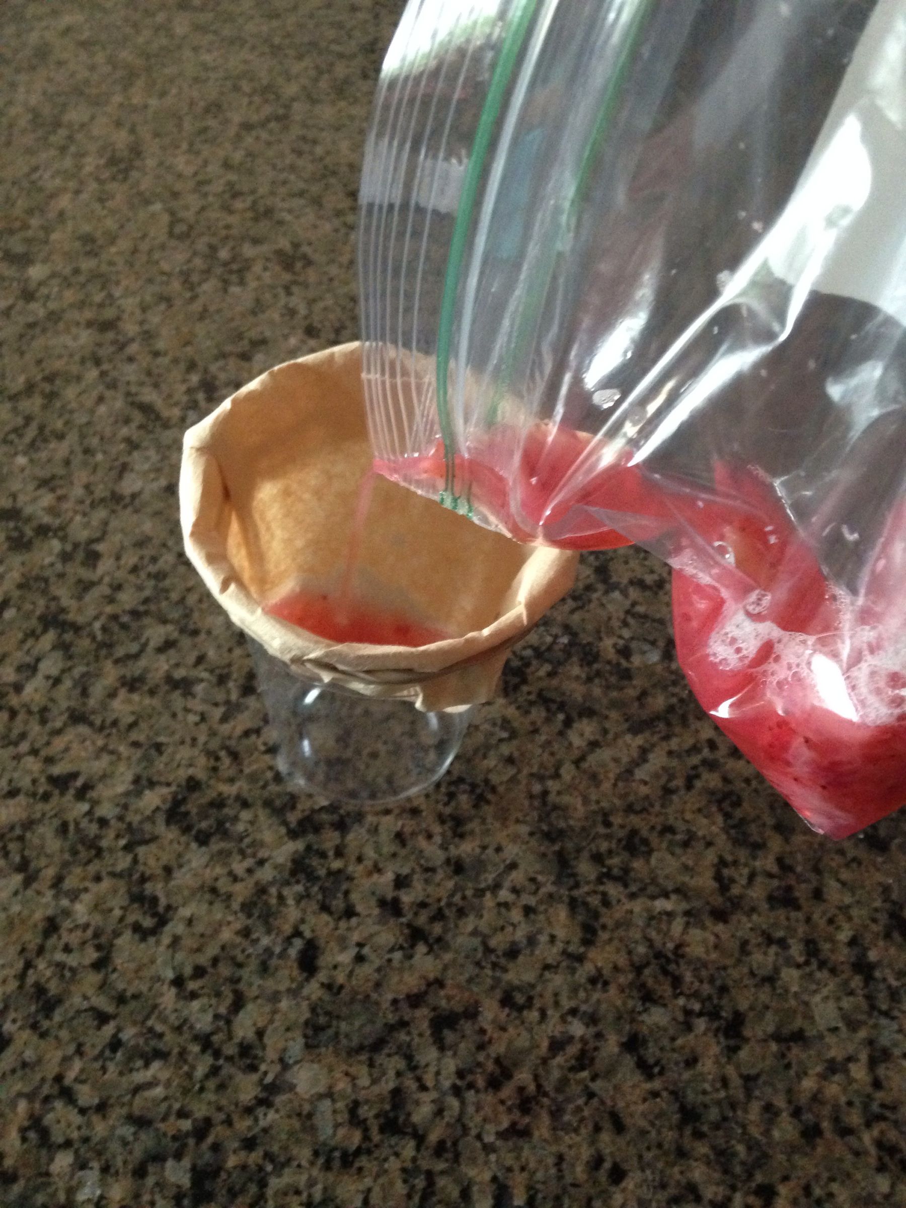 How to Extract DNA From Strawberry : 4 Steps - Instructables
