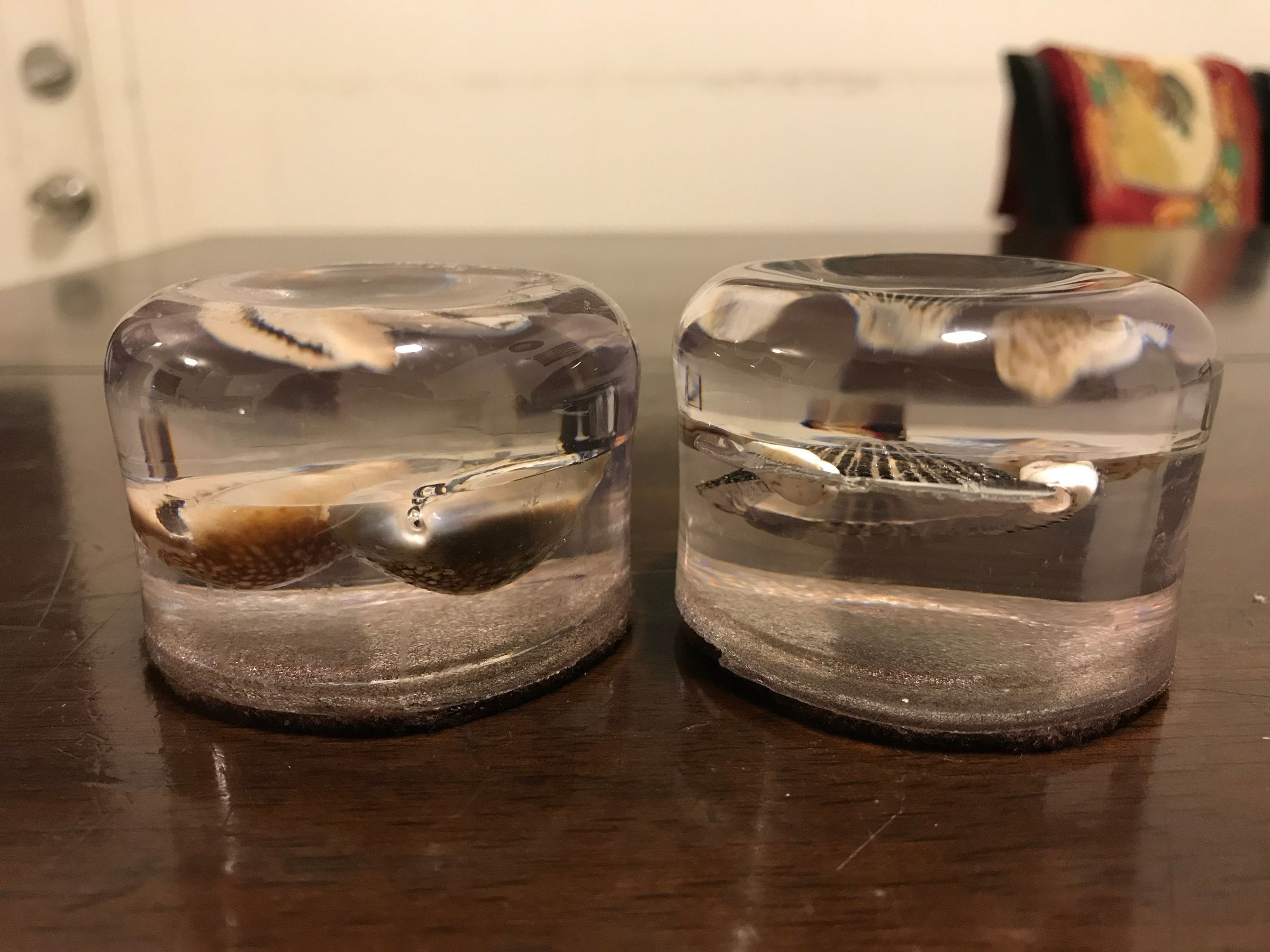 Resin Paper Weights : 12 Steps (with Pictures) - Instructables