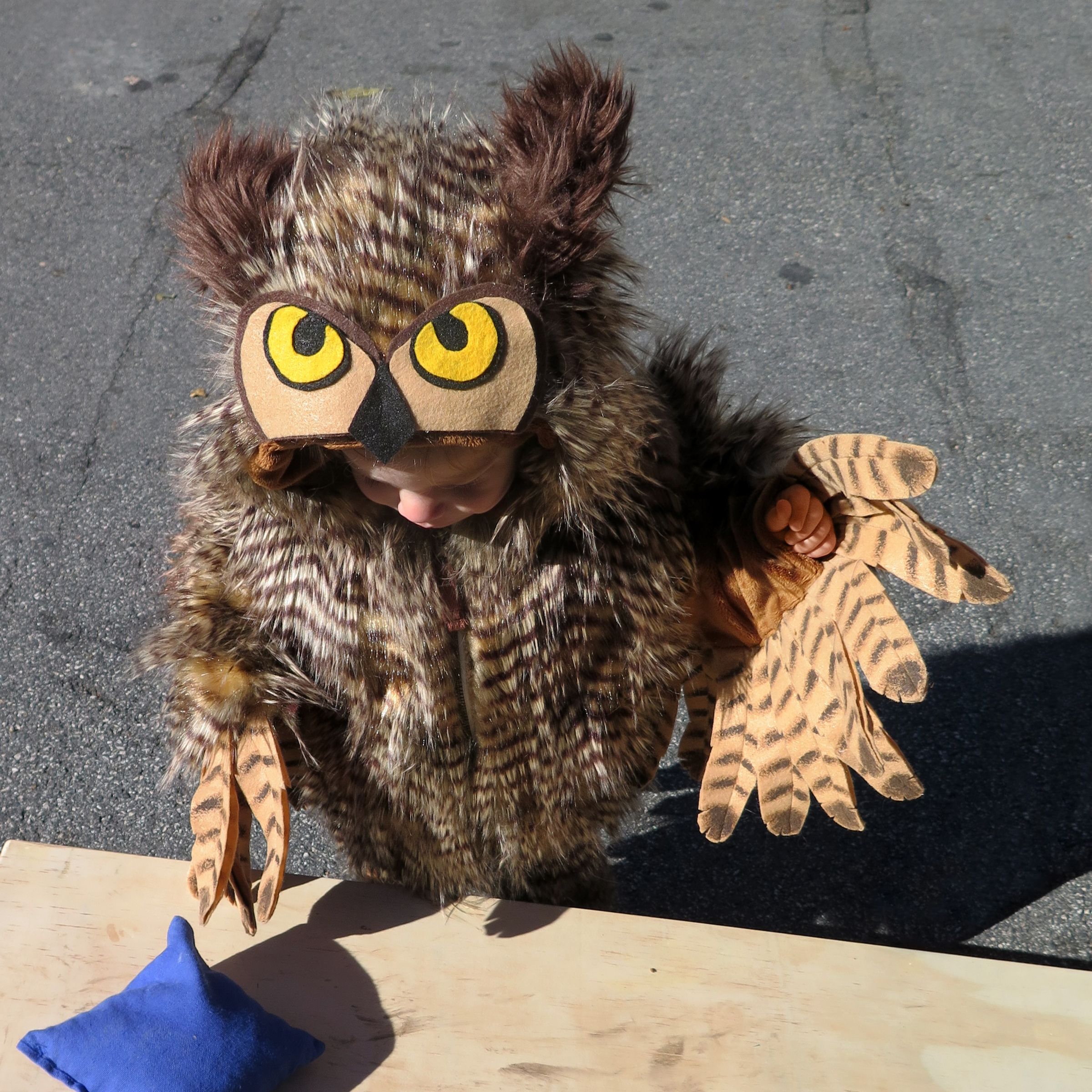 Make an Owl Costume : 13 Steps (with Pictures) - Instructables