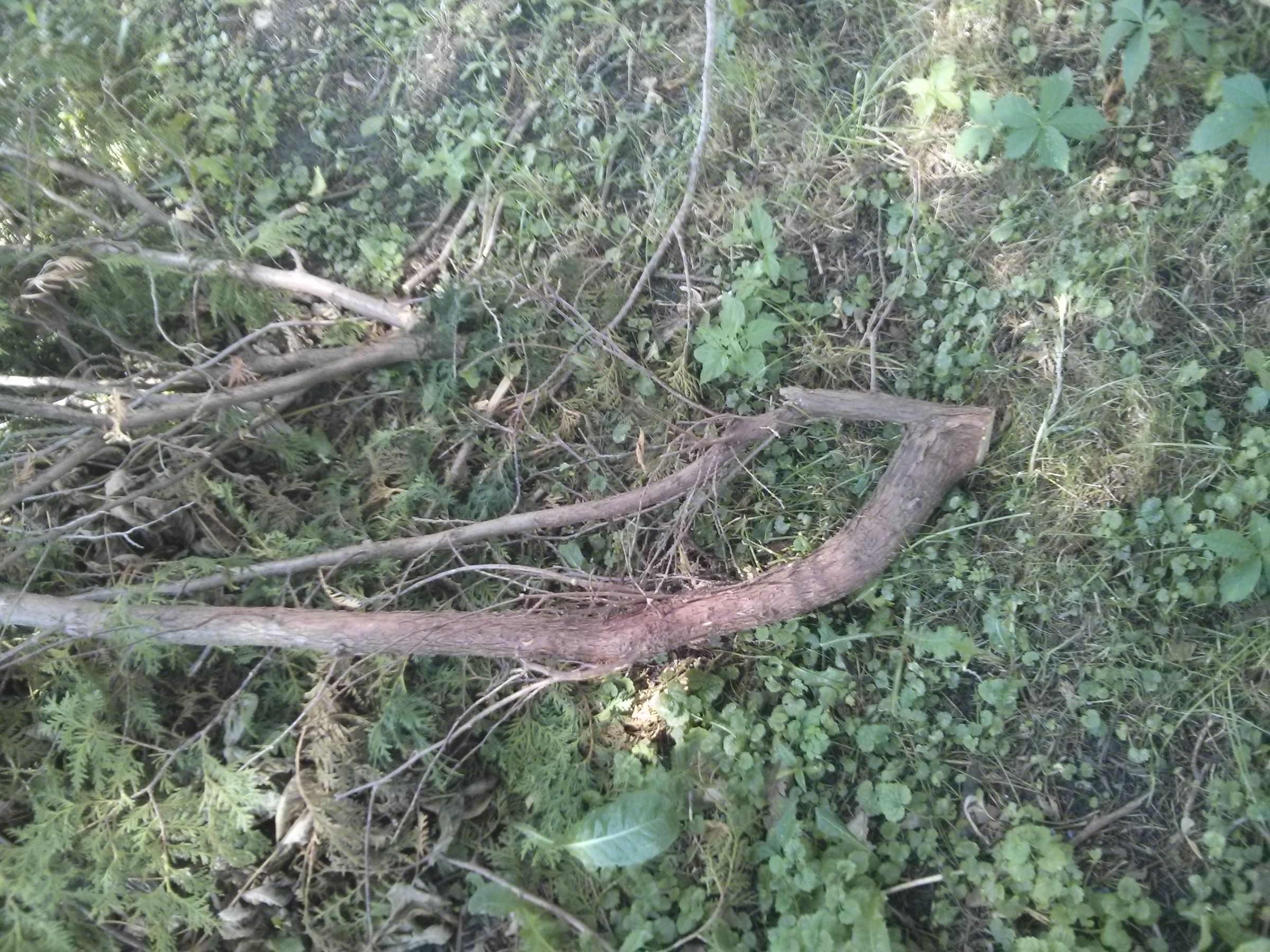 Handcarved Native American Halibut Hook : 9 Steps (with Pictures ...