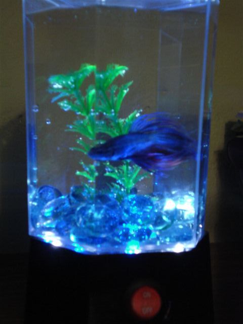 Fish Tank LED Bonanza! : 8 Steps - Instructables