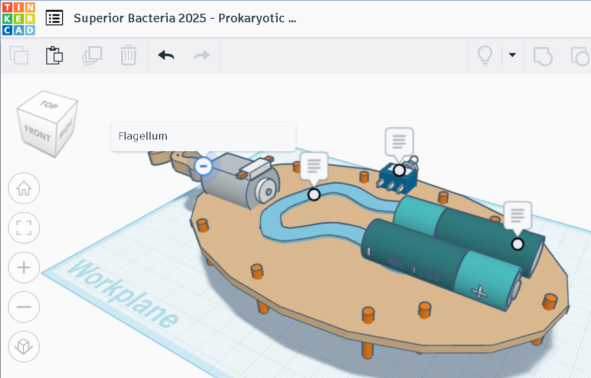 Model of Prokaryotic Bacteria - DC Motor Flagellum : 4 Steps (with ...