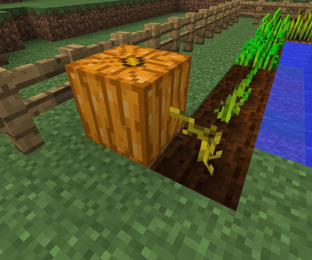Farming in Minecraft : 10 Steps (with Pictures) - Instructables