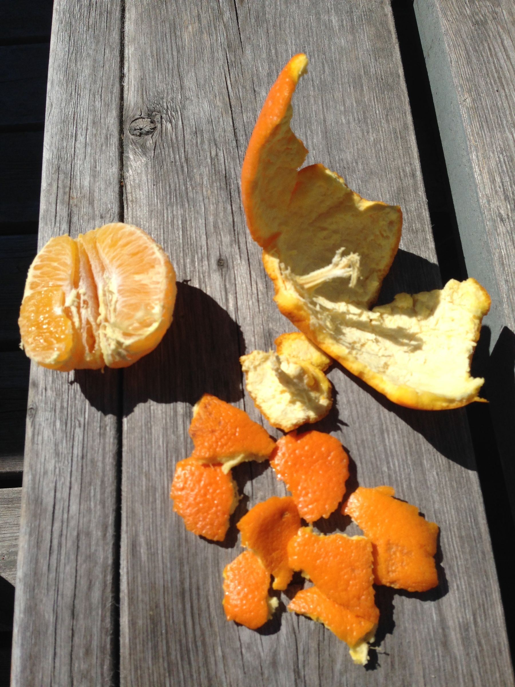Orange Peel Skewers : 4 Steps (with Pictures) - Instructables