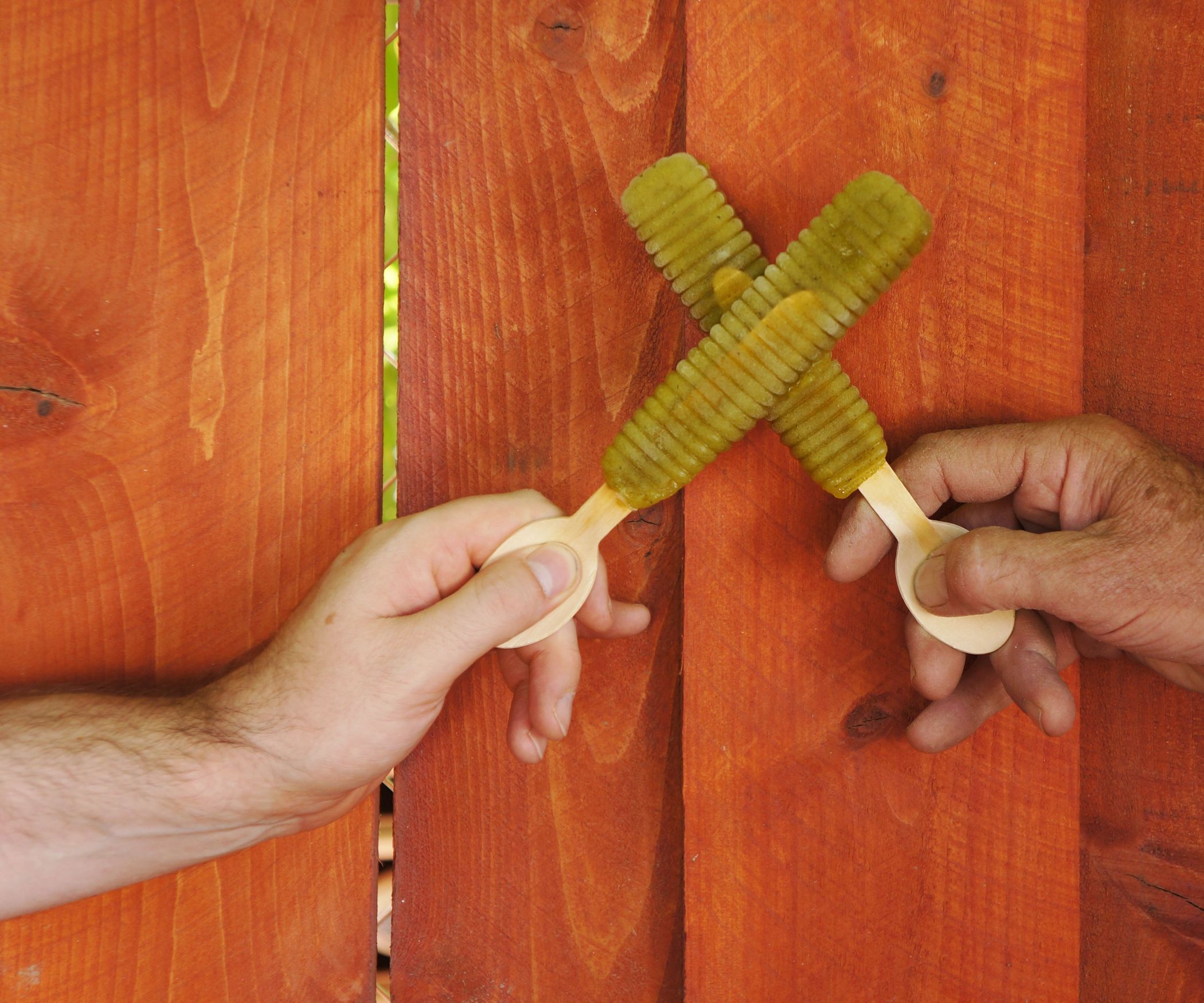 Copycat Recipe Bob's Pickle Popsicles : 6 Steps (with Pictures ...