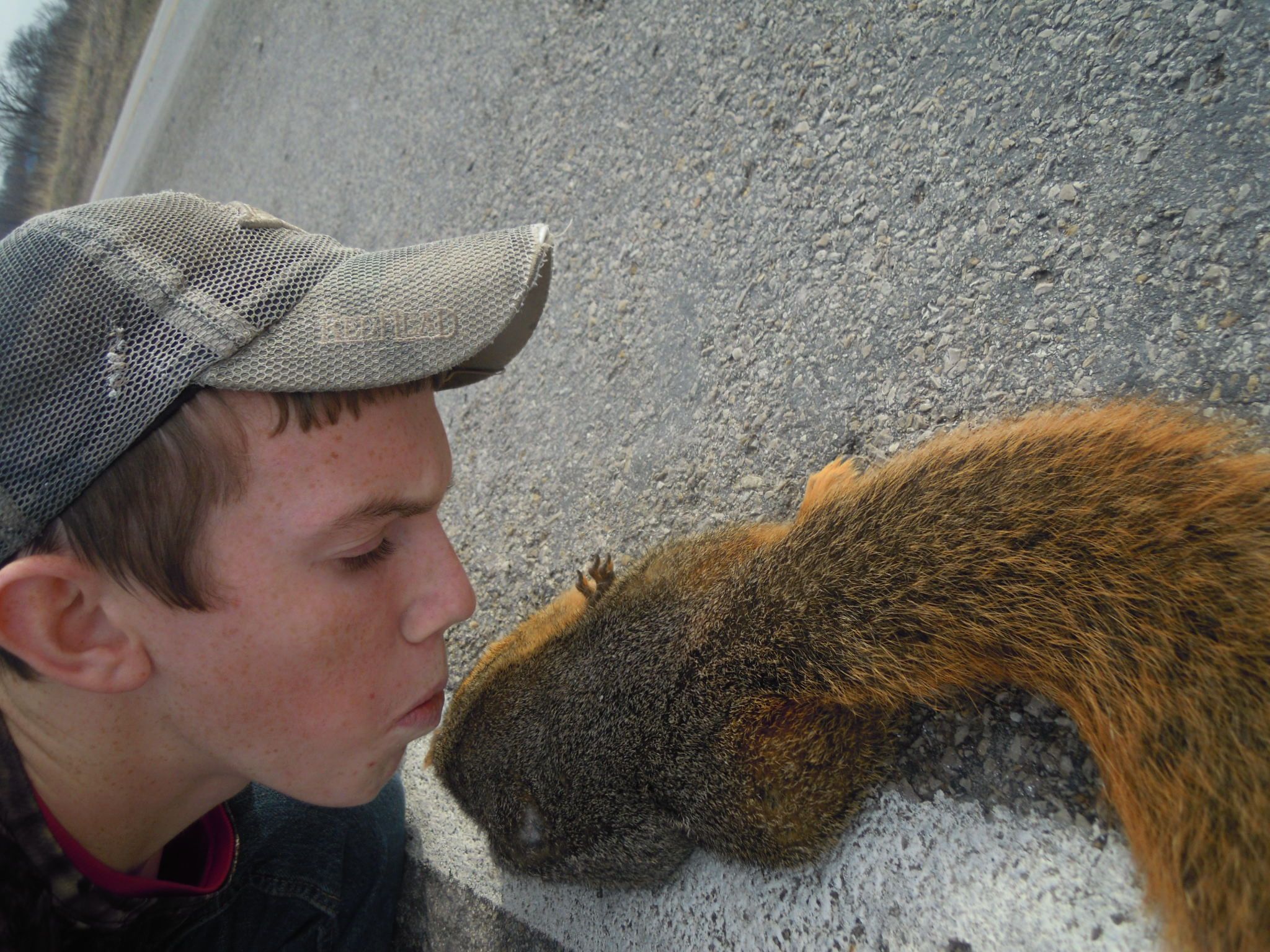 Roadkill Huntin' : 4 Steps - Instructables