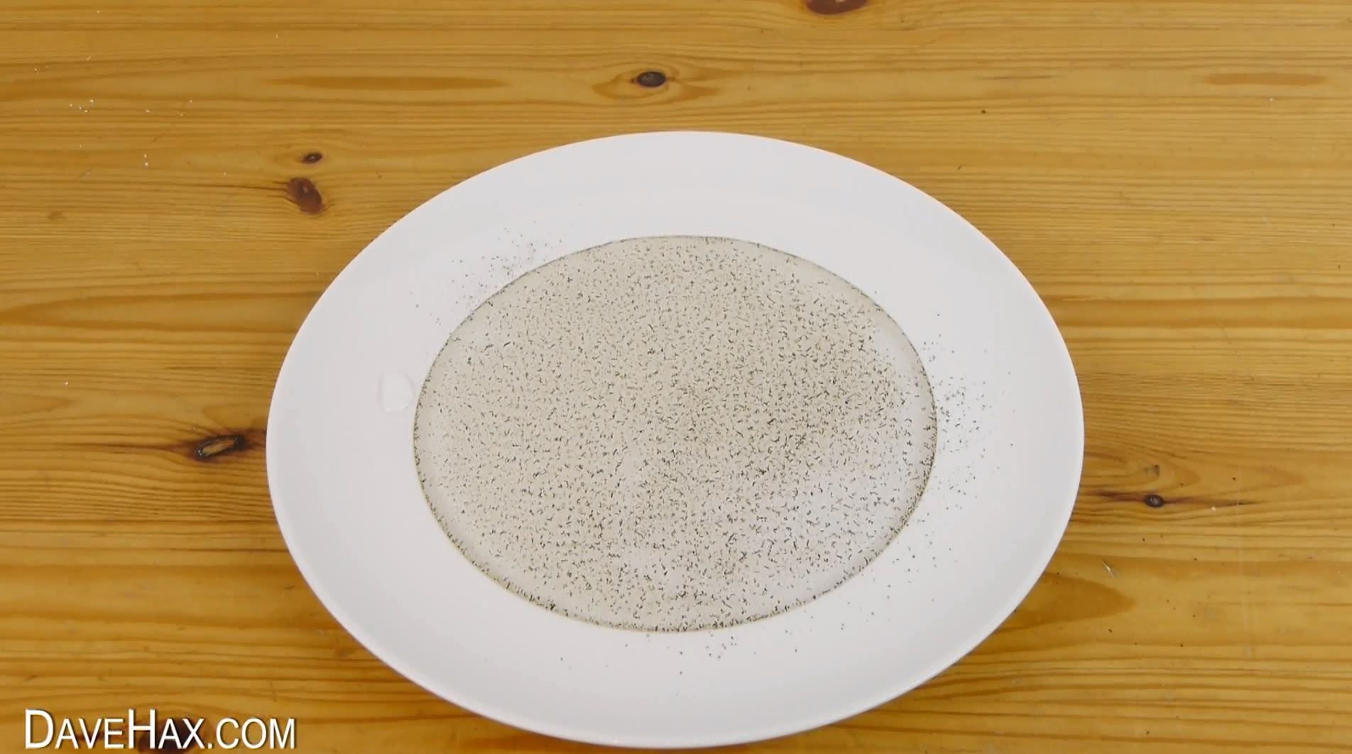 How Dish Soap Works - Water Surface Tension Experiment : 7 Steps (with ...