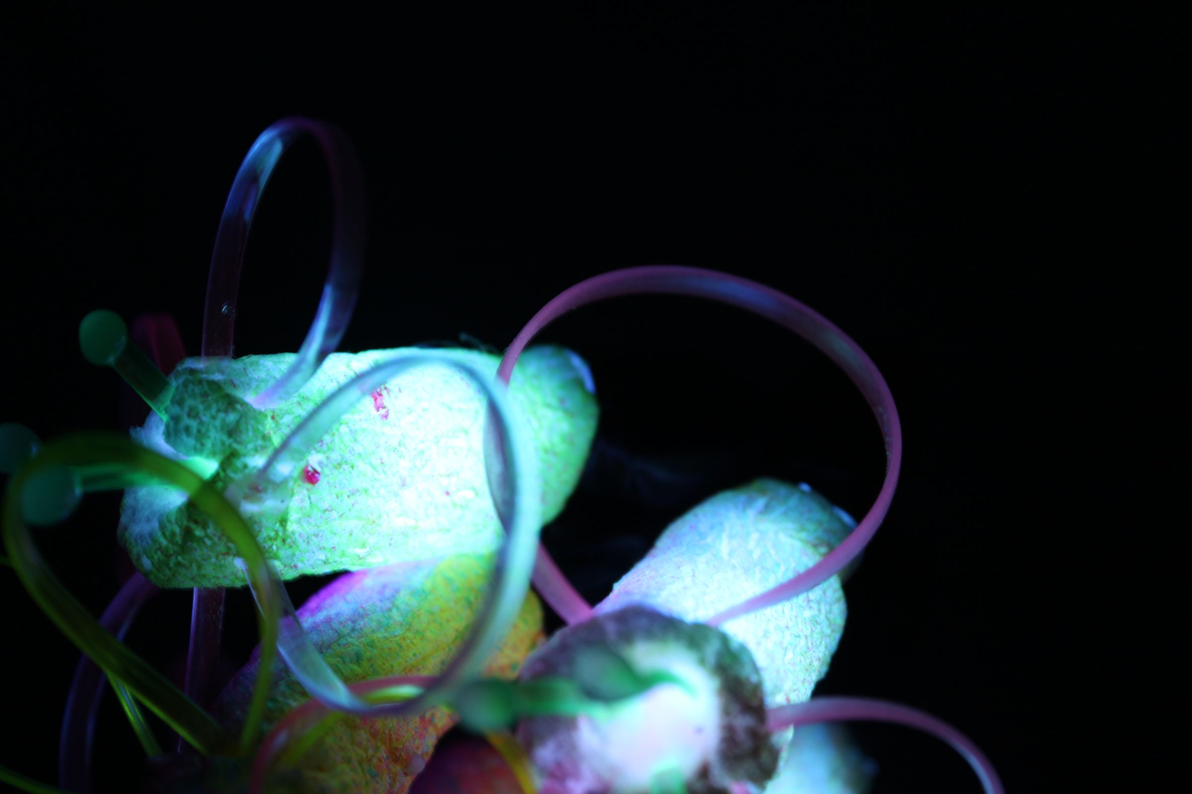 Simple LED Flowers : 8 Steps (with Pictures) - Instructables
