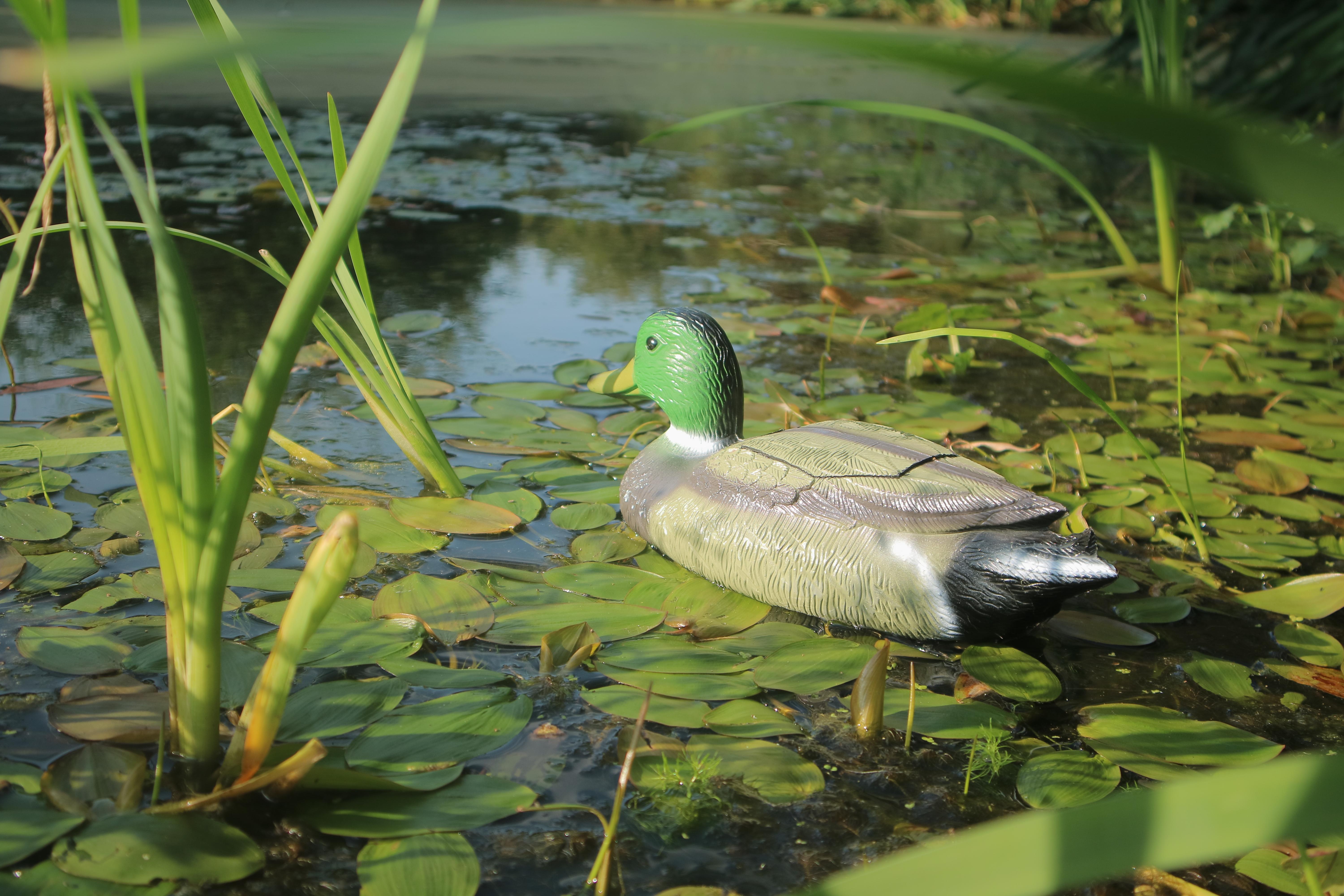 Jet Propelled Radio Controlled Duck : 10 Steps (with Pictures ...