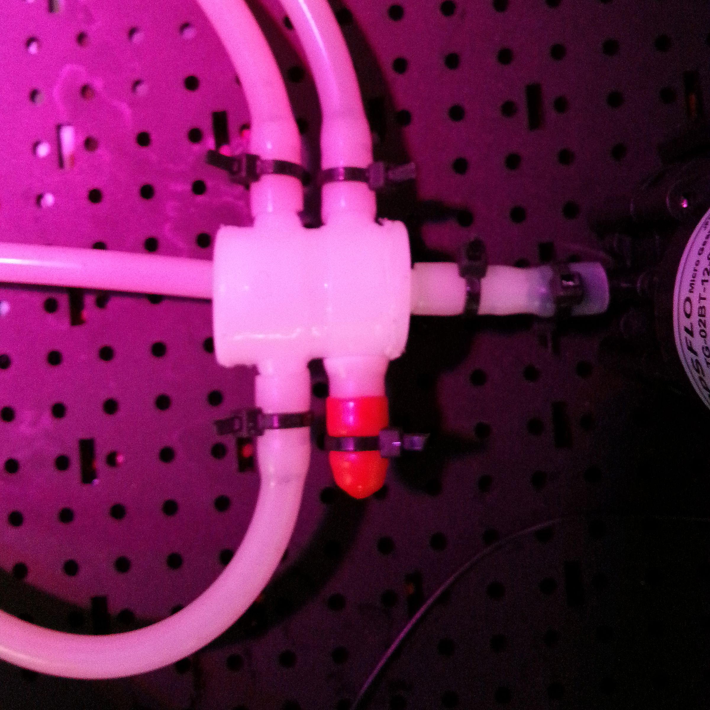 Automatic Plant Watering System With Arduino : 7 Steps (with Pictures ...