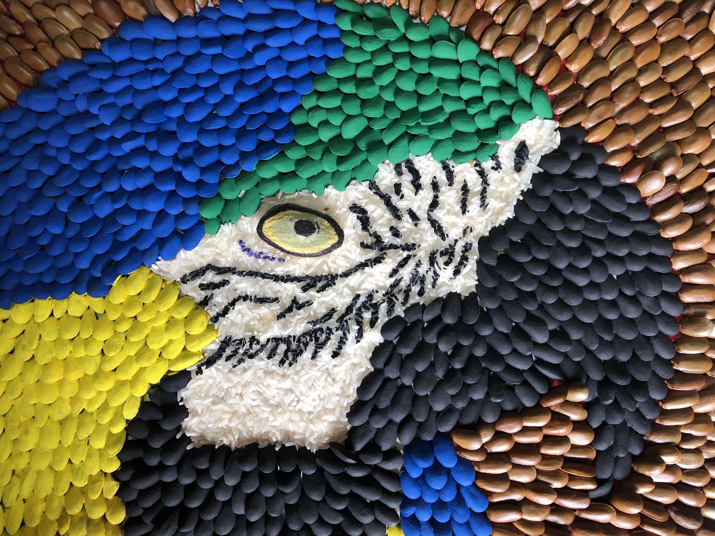 Macaw With Soursop Seeds, Rice and Mango. : 12 Steps (with Pictures ...