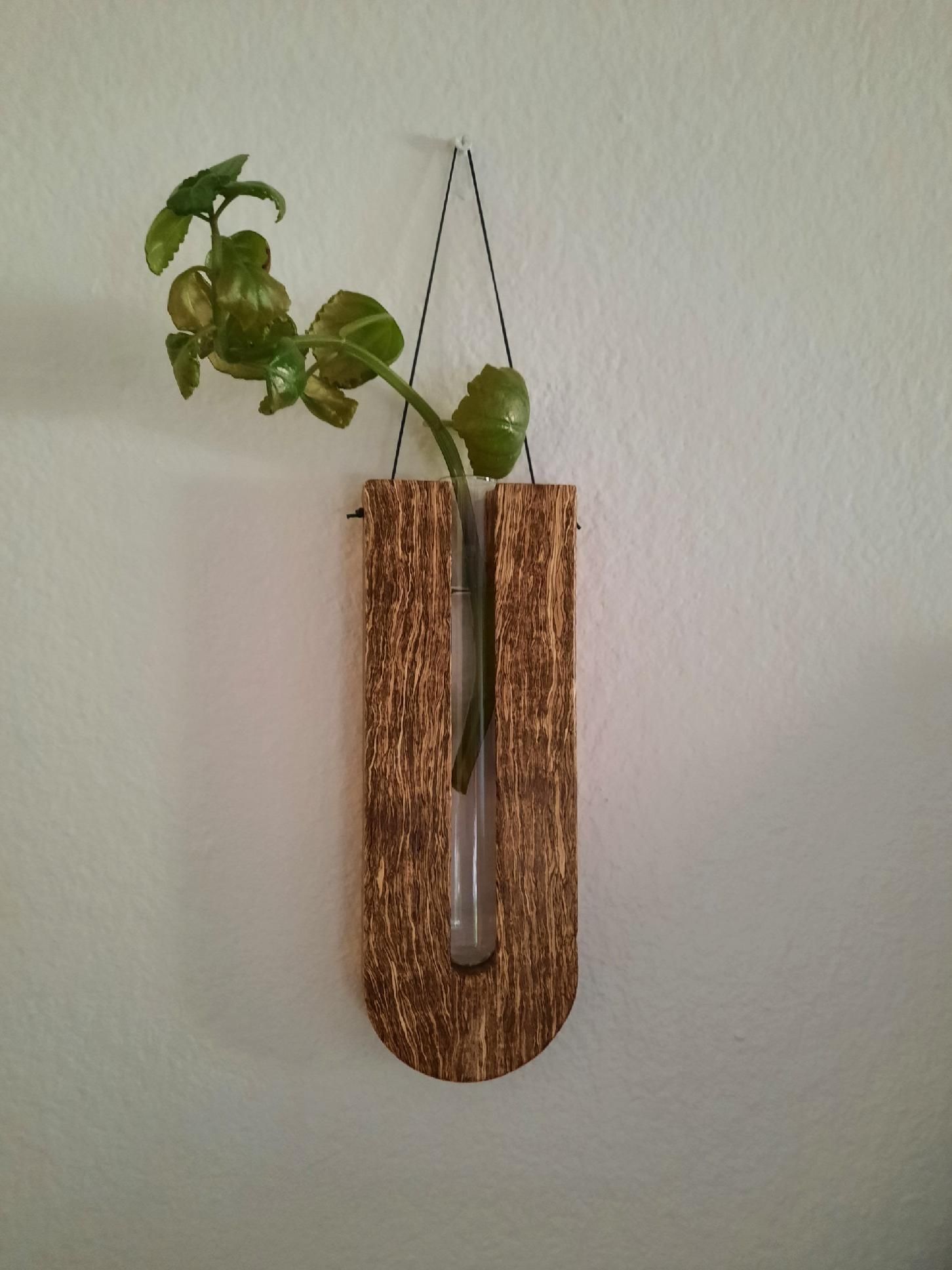 Hanging Test Tube Propagation Station | Single Stem Vase : 7 Steps ...