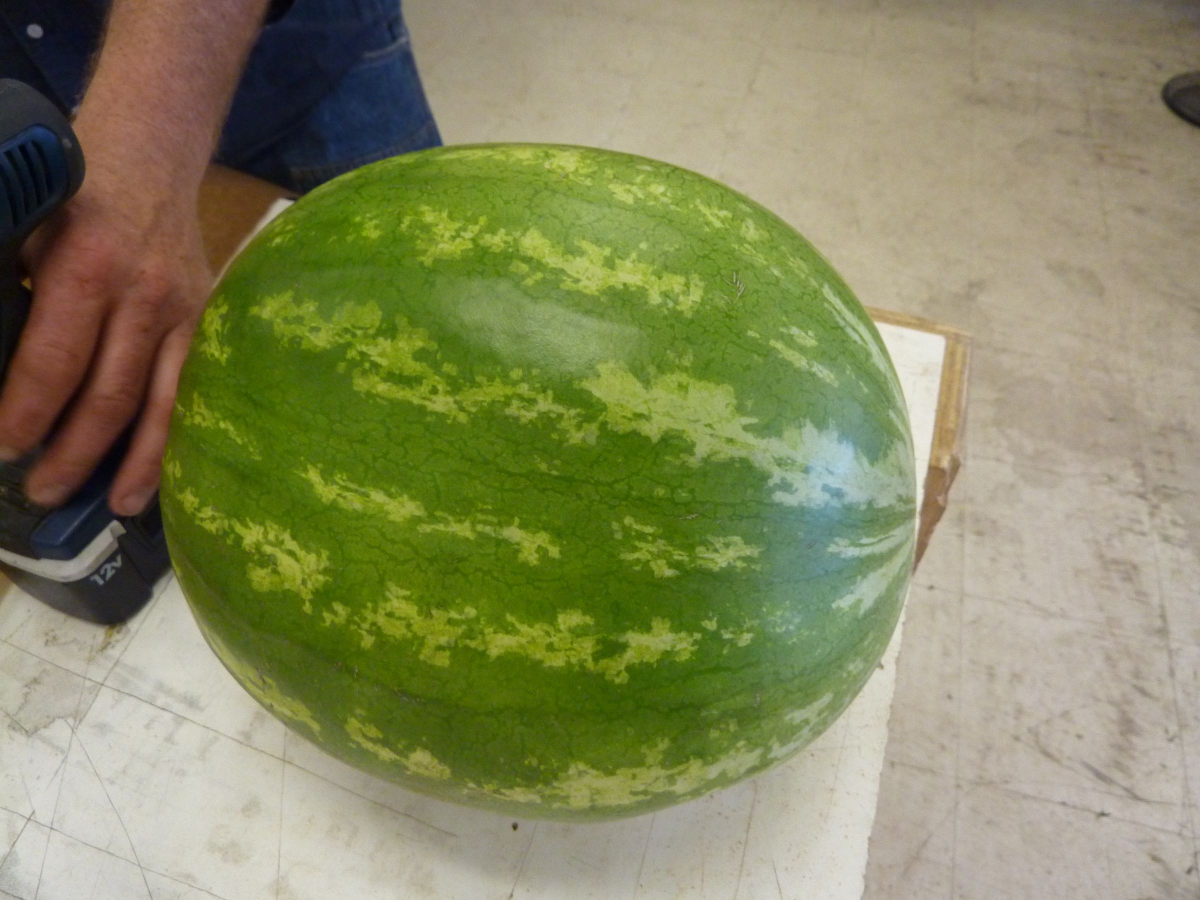Make Watermelon Juice With a Drill and a Coat Hanger : 6 Steps (with ...