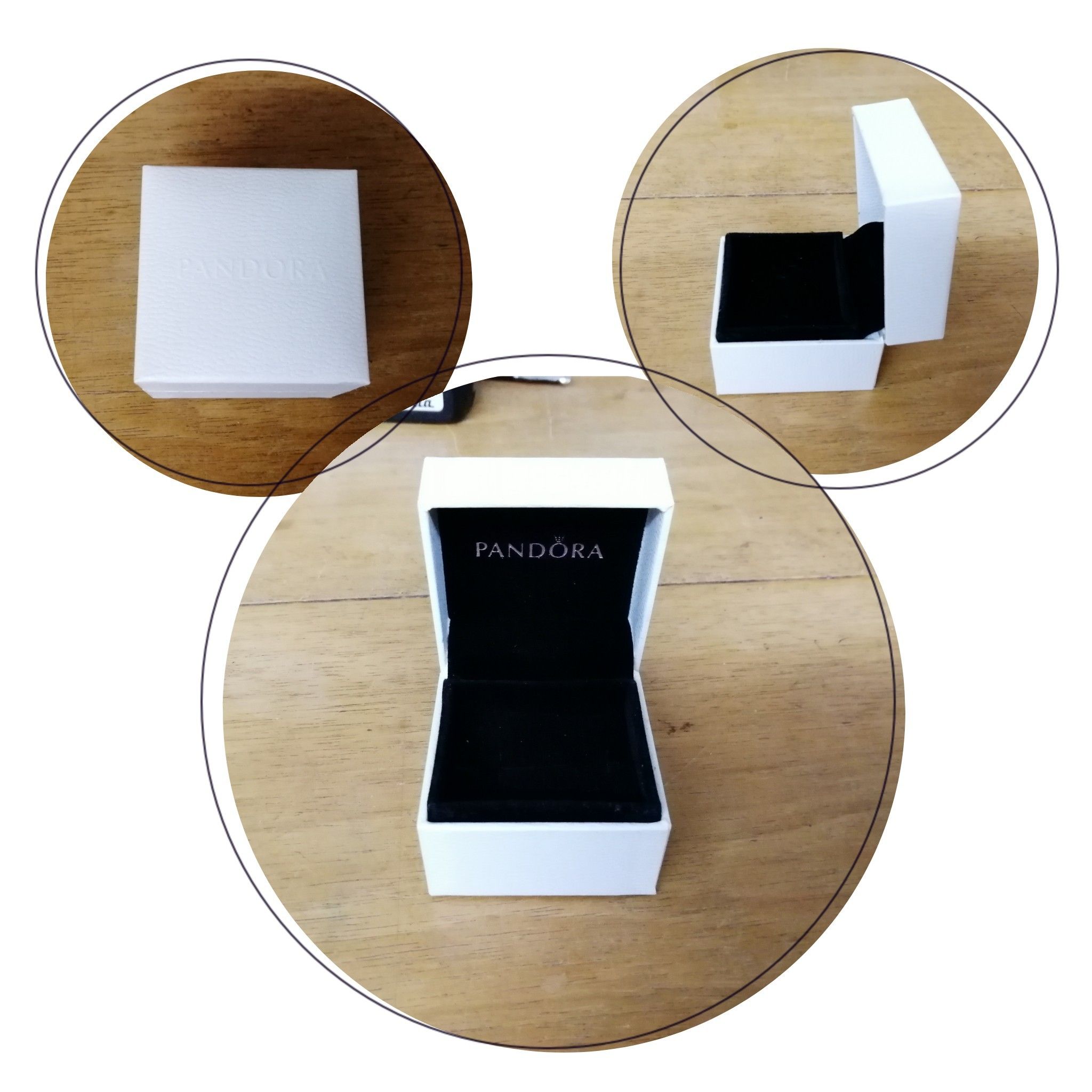 Jewel Plants Composition Realized With Empty Jewelry Boxes : 4 Steps ...