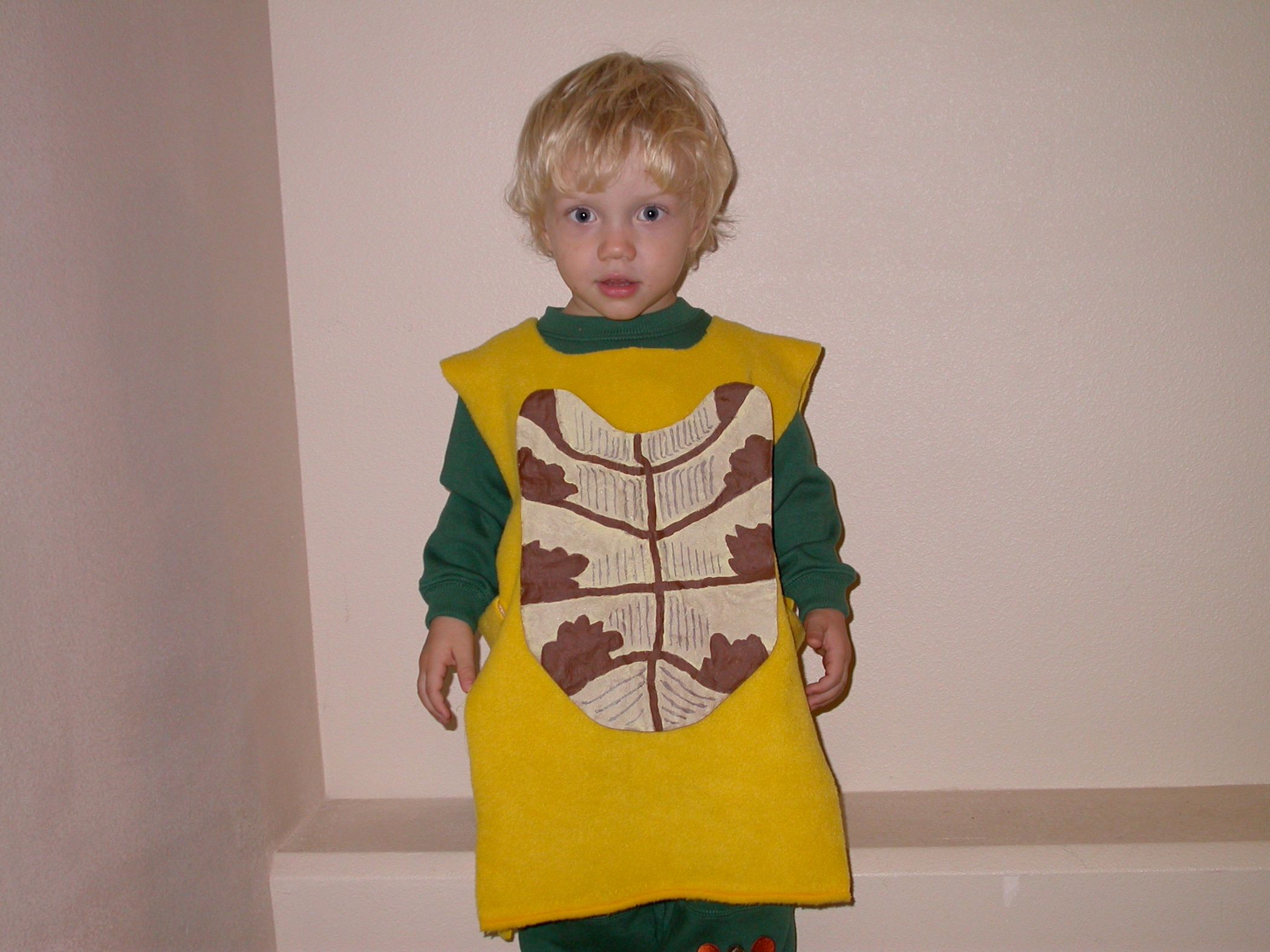 Turtle Costume : 4 Steps - Instructables