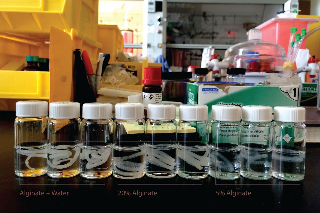 Create Bio-yarn : 8 Steps (with Pictures) - Instructables